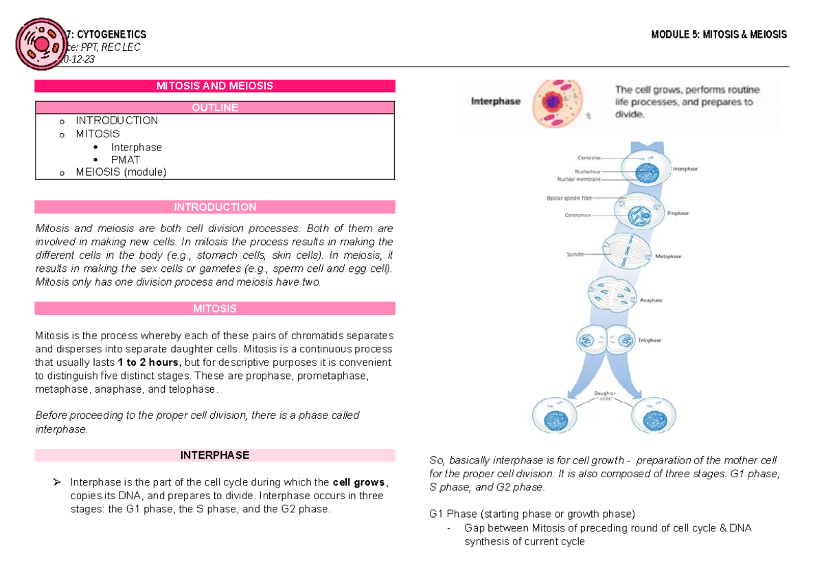 MLS 007: Cyto Genetics - Mitosis & Meiosis Overview Notes - Studocu