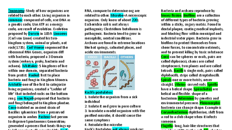 Taxonomy: Understanding Organism Relationships and Classification - Studocu