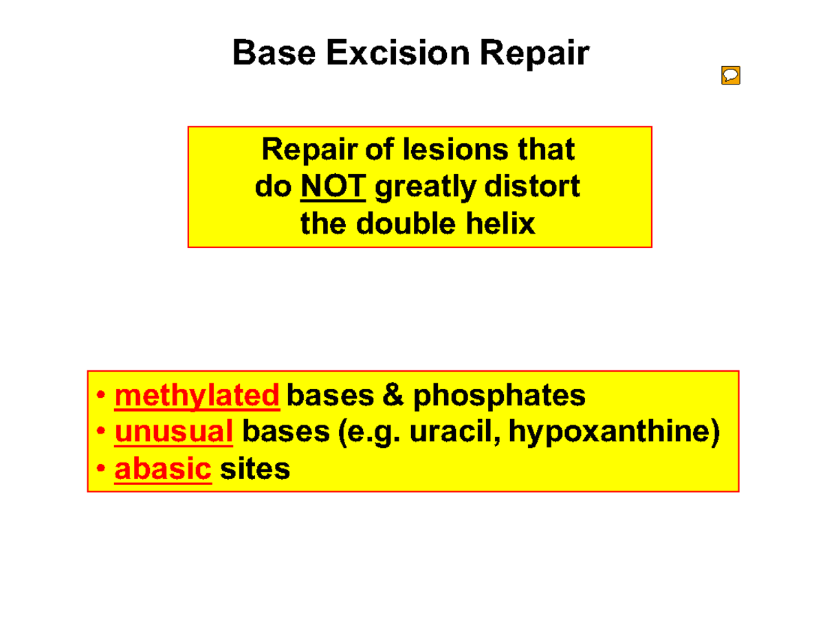 CHE 424 DNA Damage and Repair Slides II - Base Excision Repair ...