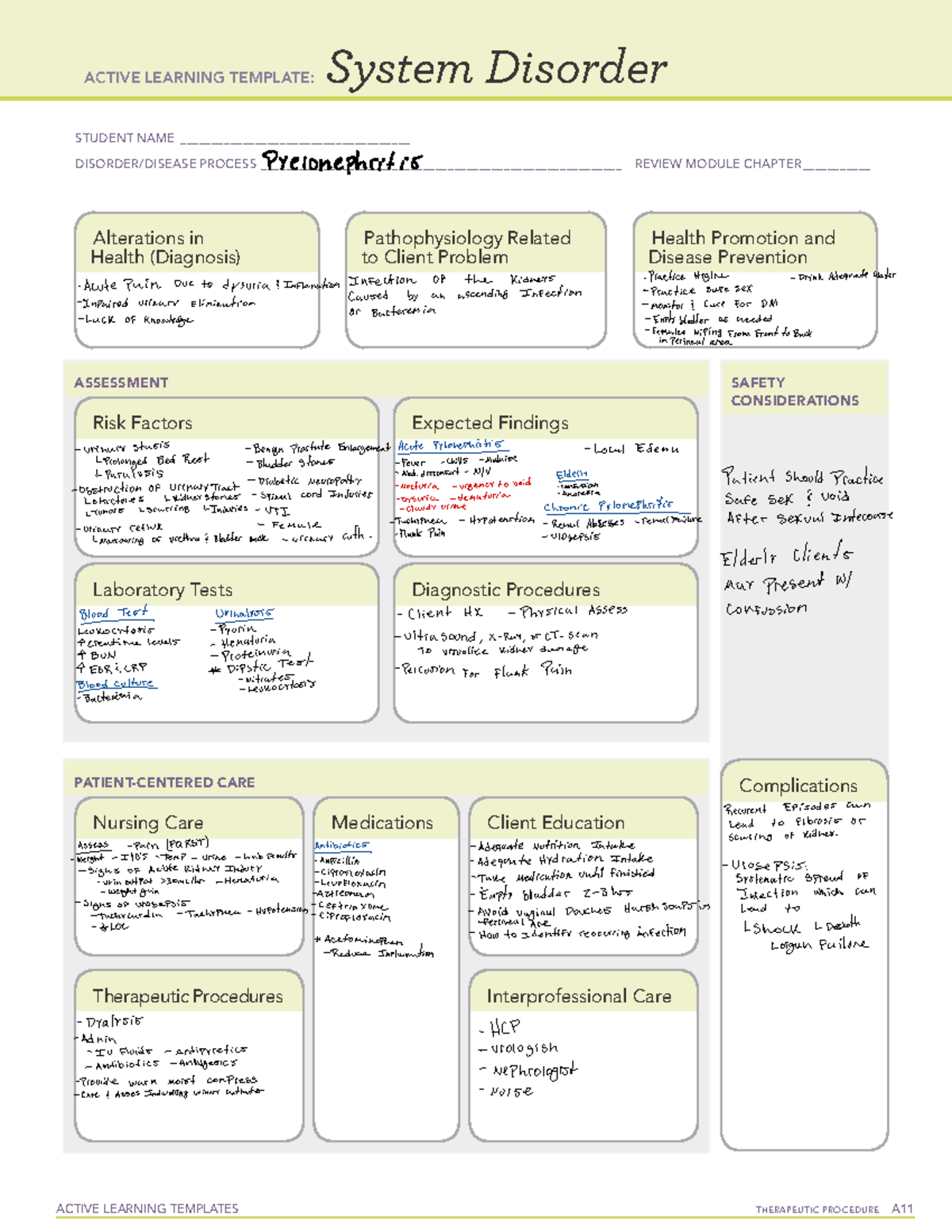 Pyelonephritis - ATI concept map - ACTIVE LEARNING TEMPLATES ...