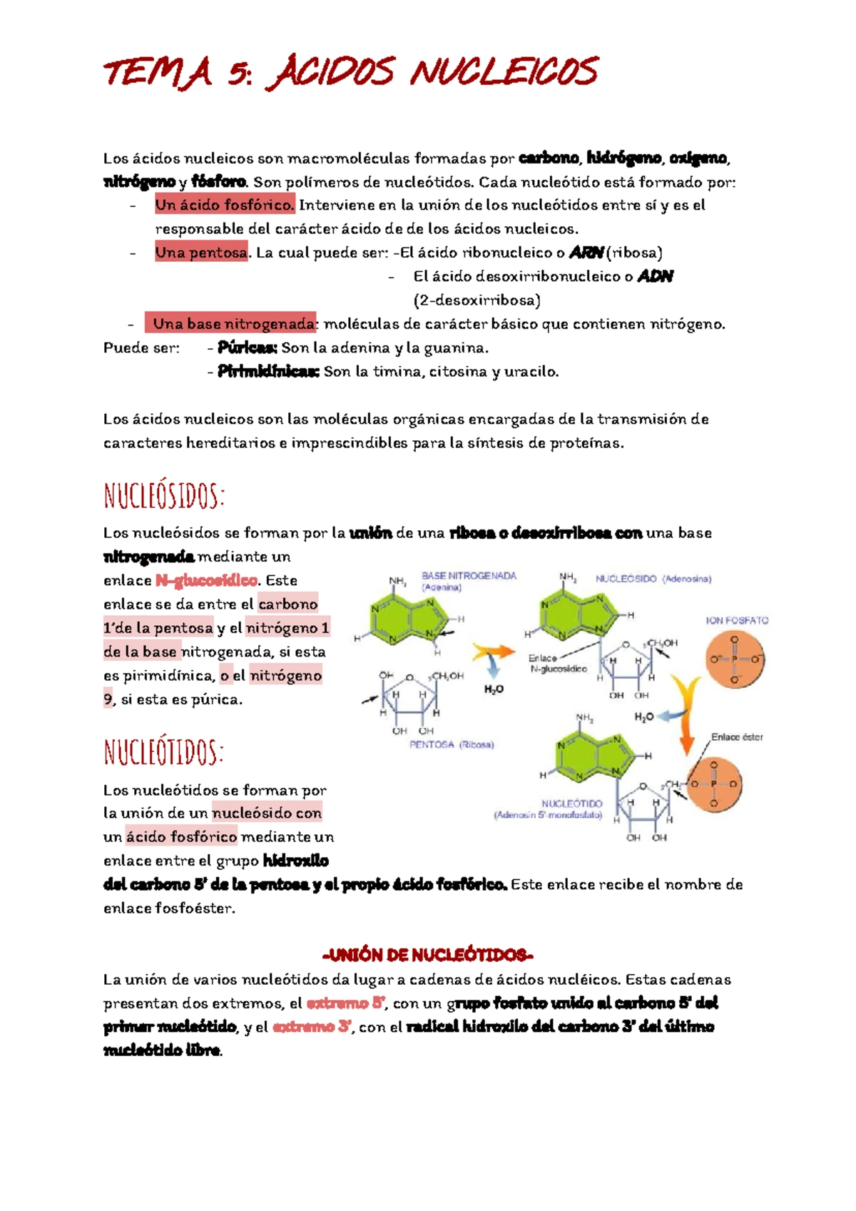 Enzimas fg fsd dfs dsf dsf ds fdsf fds f f df dsf df ds fd sd fd fds ...