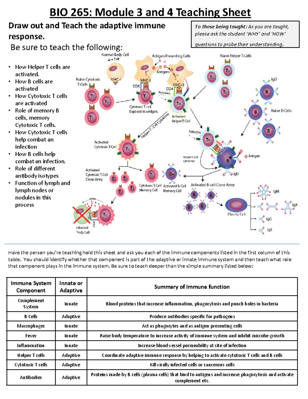 BIO 265: Teaching Assignment W05 - Immune System Overview and Functions ...