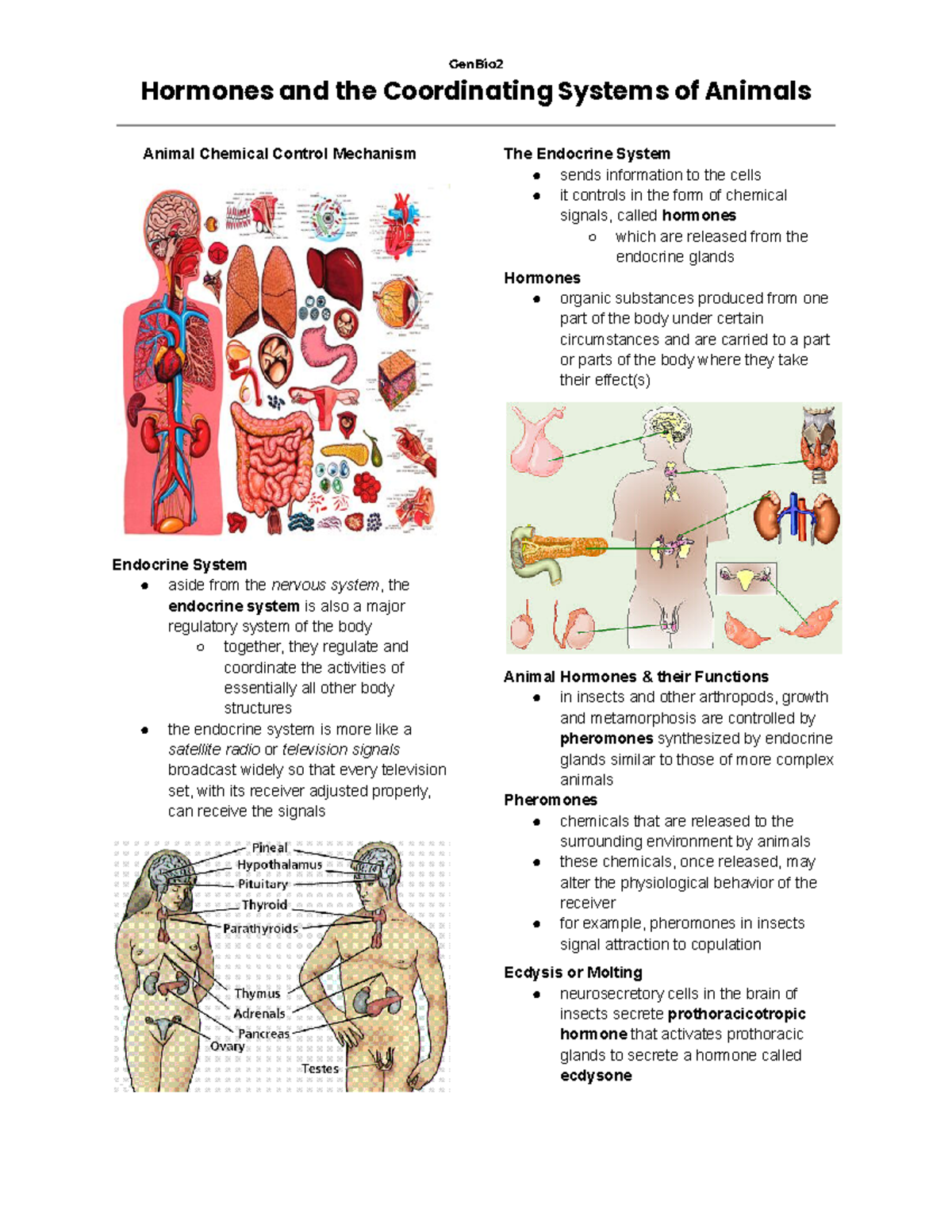 Chapter 7 - Reviewer - GenBio Hormones and the Coordinating Systems of ...