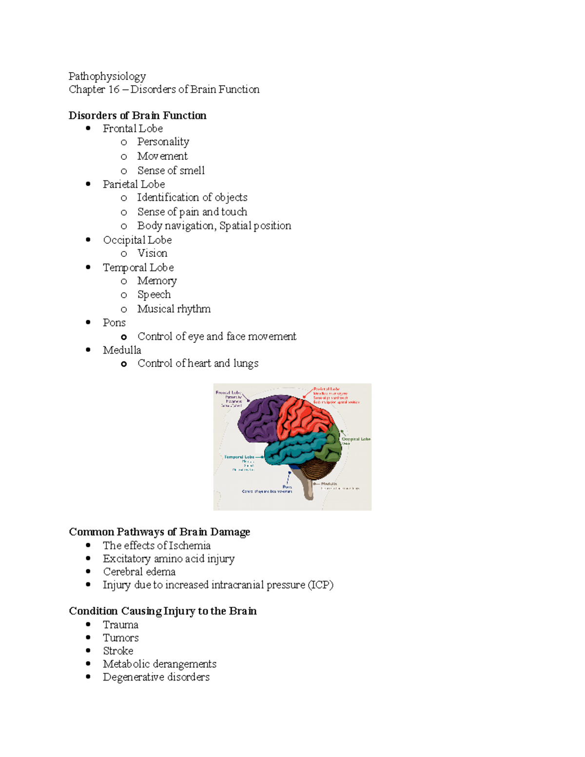 Chapter 16 - Comprehensive Review of Brain Function Disorders - Studocu