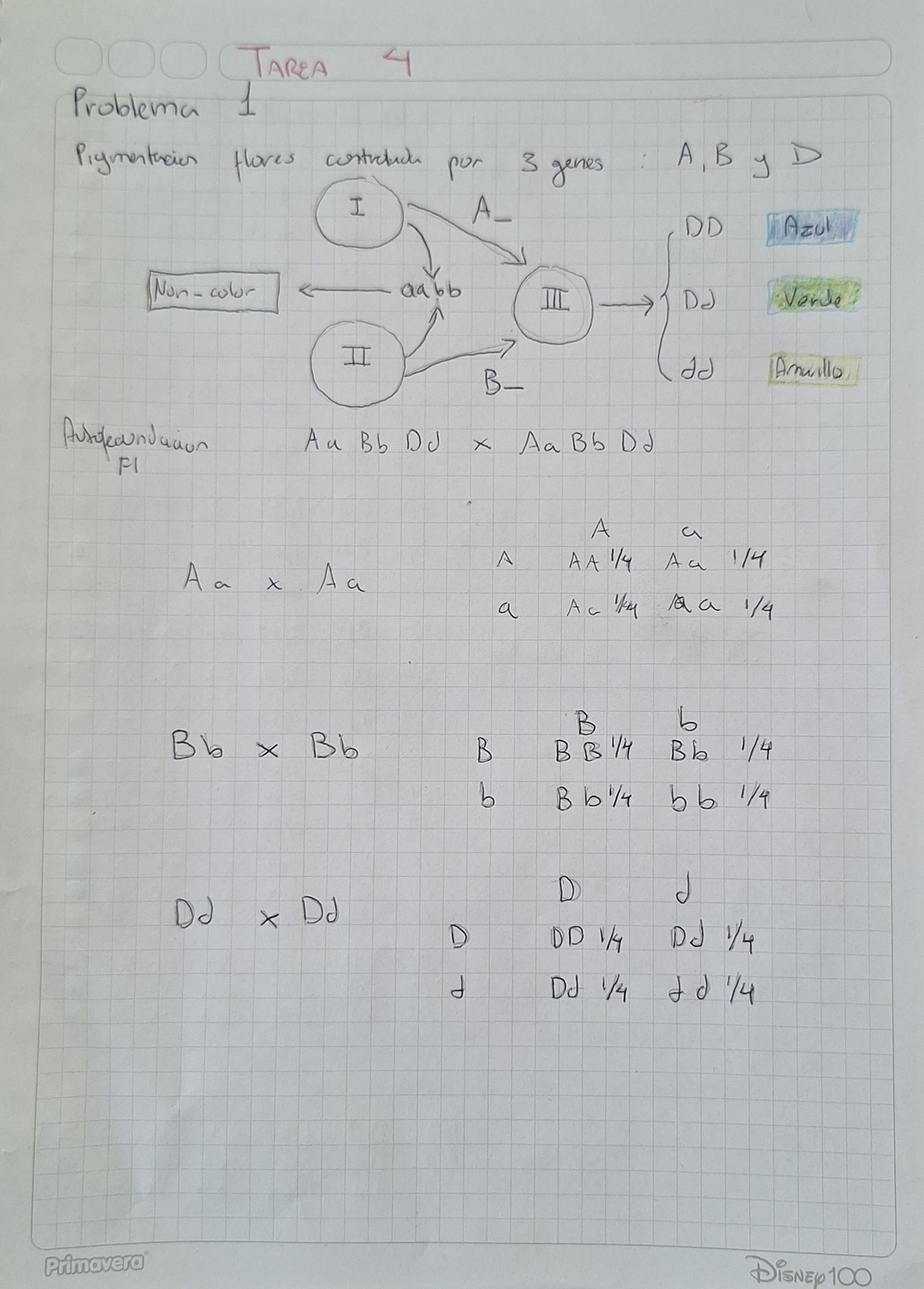 Tarea 4 gg - Cruce trihibrido, diagrama ramificado - TAREA 4 Problema 1 ...