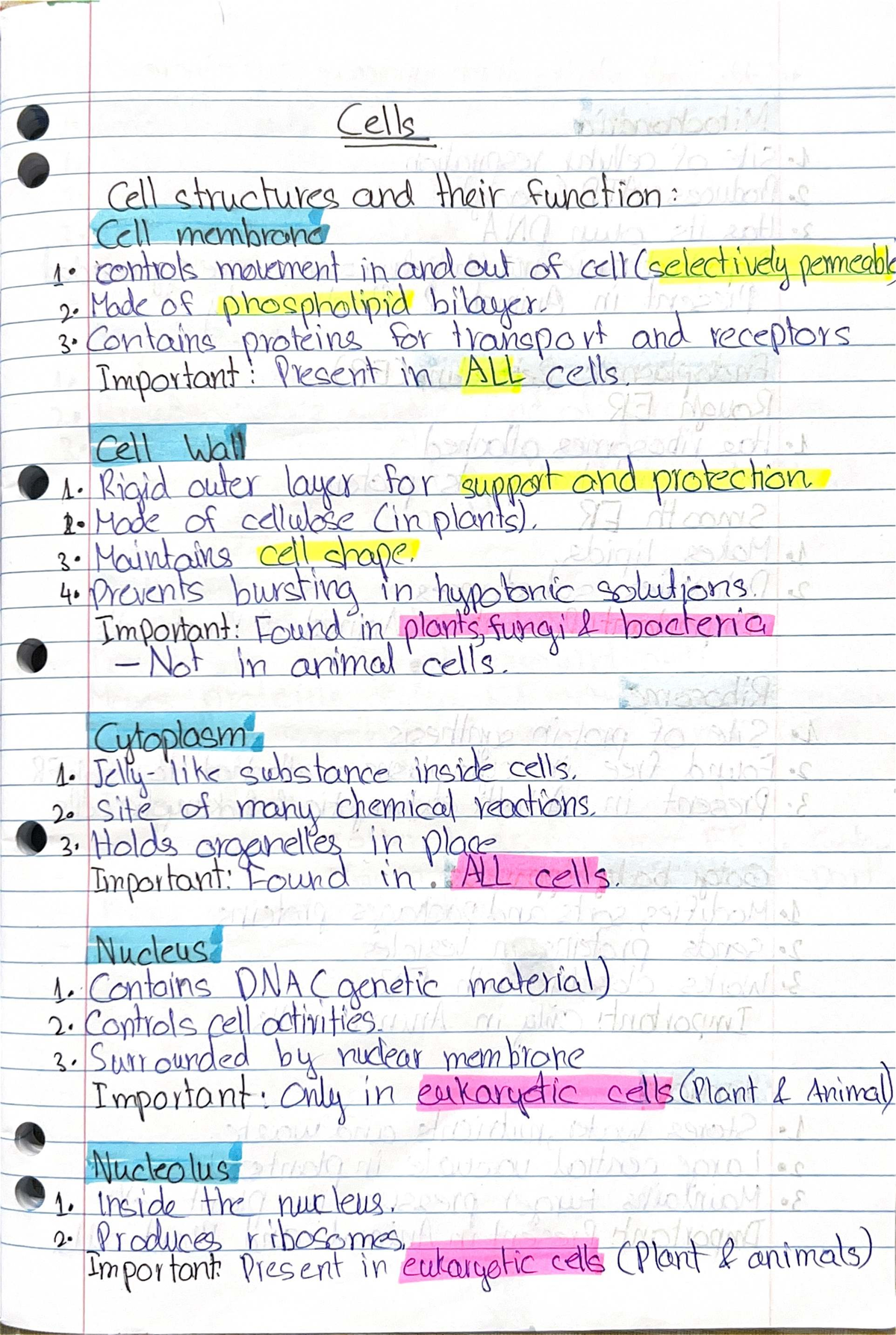 Module 1 biology notes - £ _cduee (inpon - L Contoing NB“C%O‘\@}{CL \mt ...