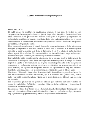 LRPD - Bases Moleculares - “Año del Fortalecimiento de la Soberanía Nacional” UNIVERSIDAD ...