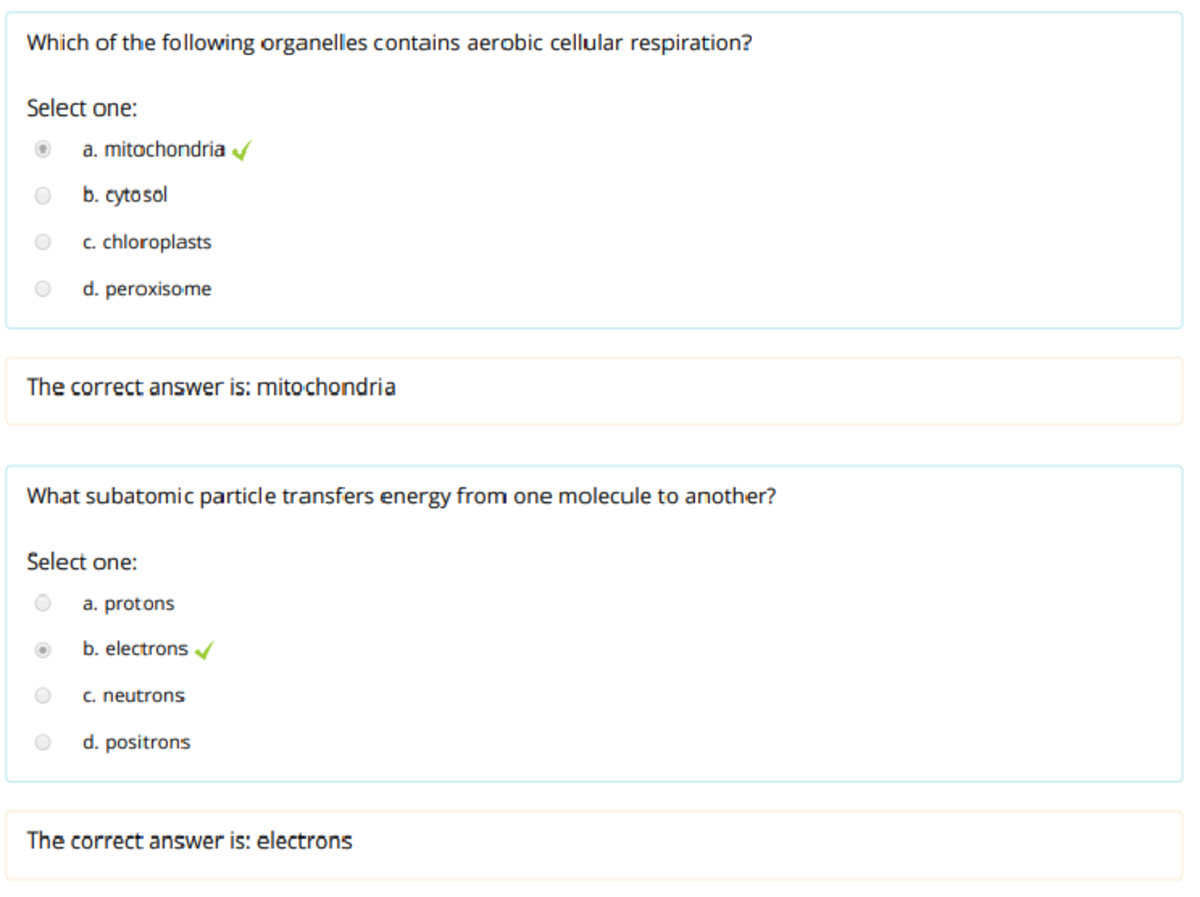 BIOL1301 Unit 3 Self Quiz on Cellular Respiration & DNA Replication ...