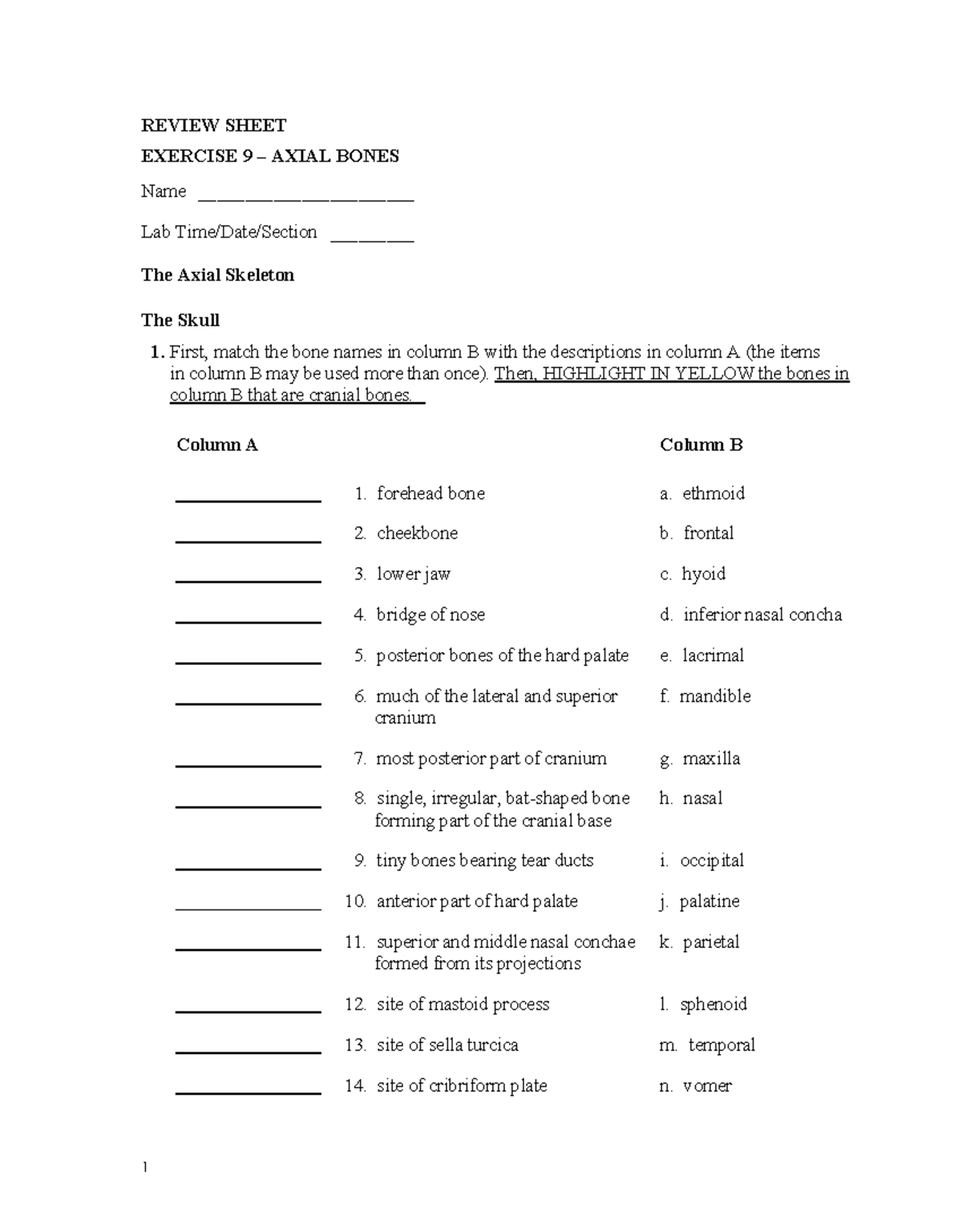 BIO001L EX009 Review Sheet: Axial Skeleton & Skull Details - Studocu