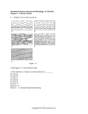Ehap12e ch 05 test bank - Human Anatomy test bank. - Essentials of ...