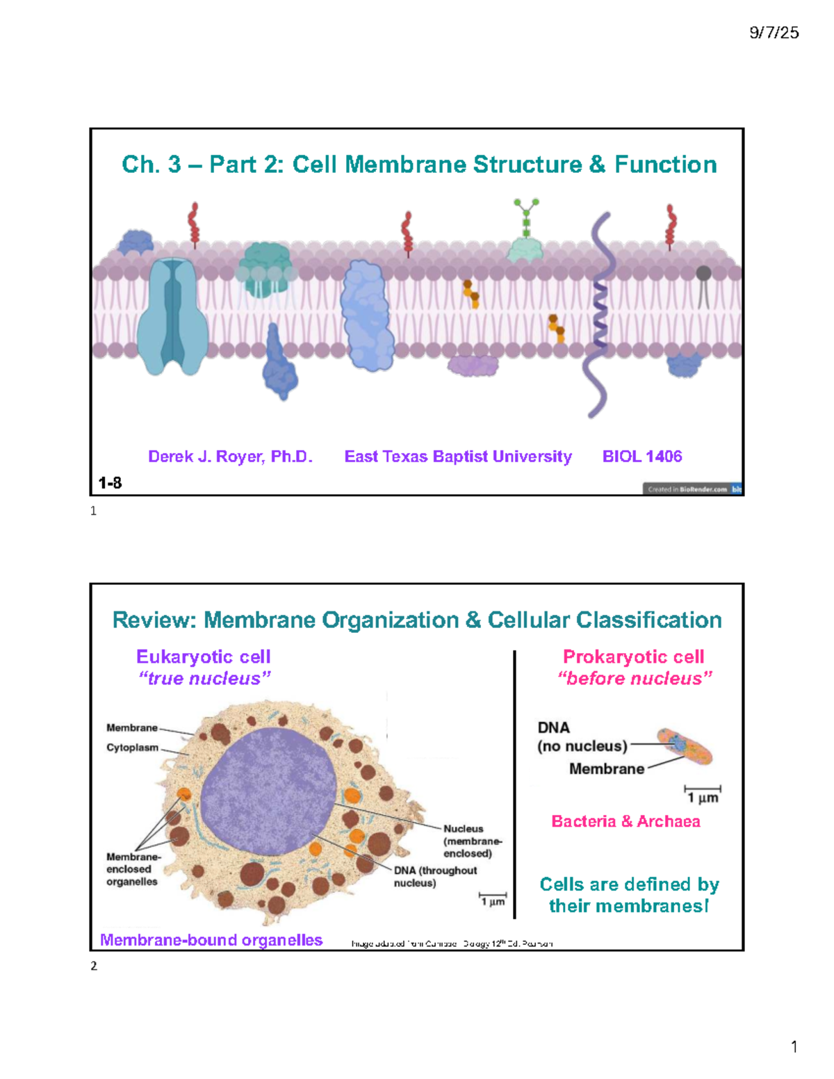 BIOL 1406 Final Exam Review: Cell Membrane Structure & Function - Studocu