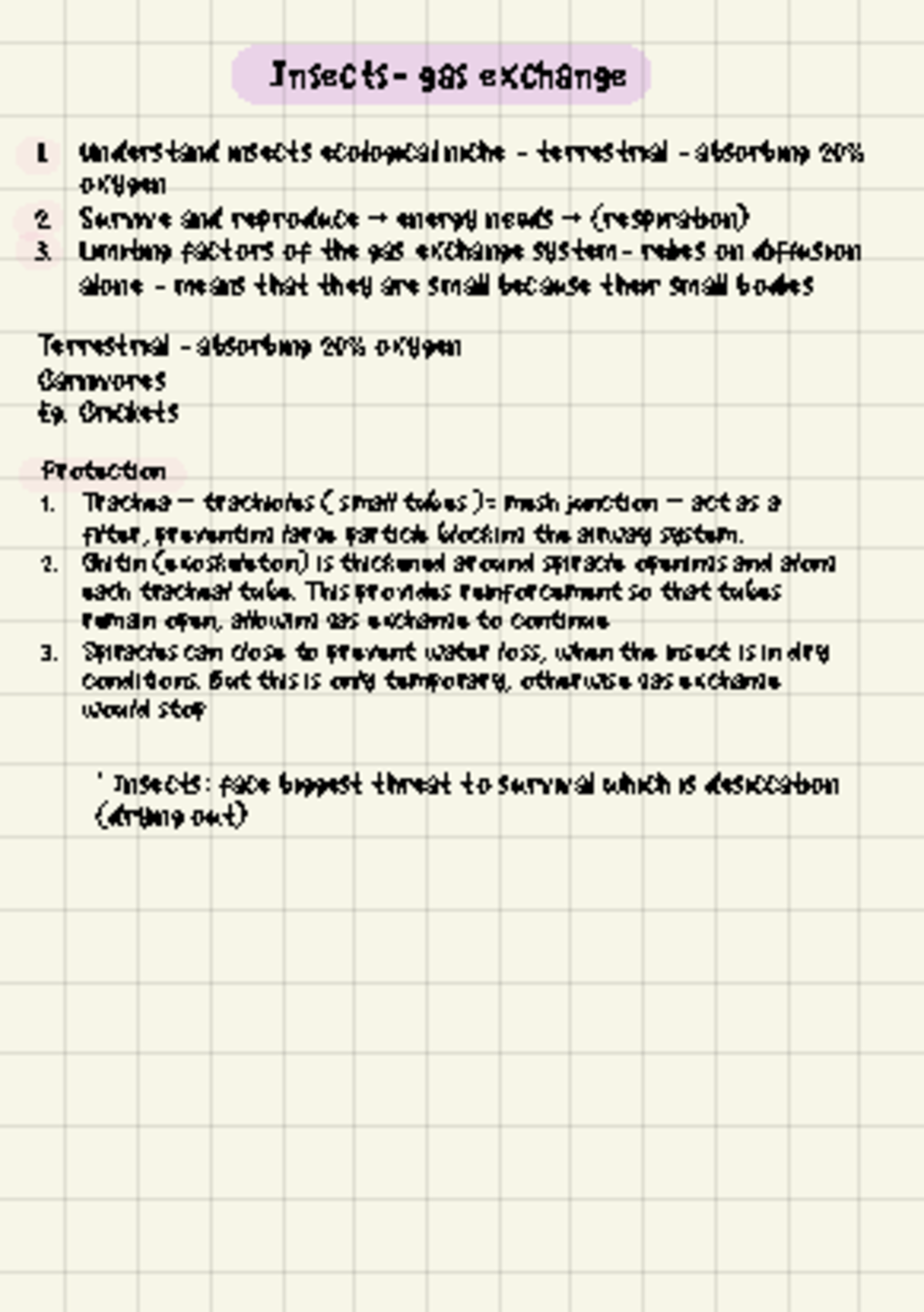 Biology Level 2: Insect Gas Exchange Mechanisms Explained - Studocu