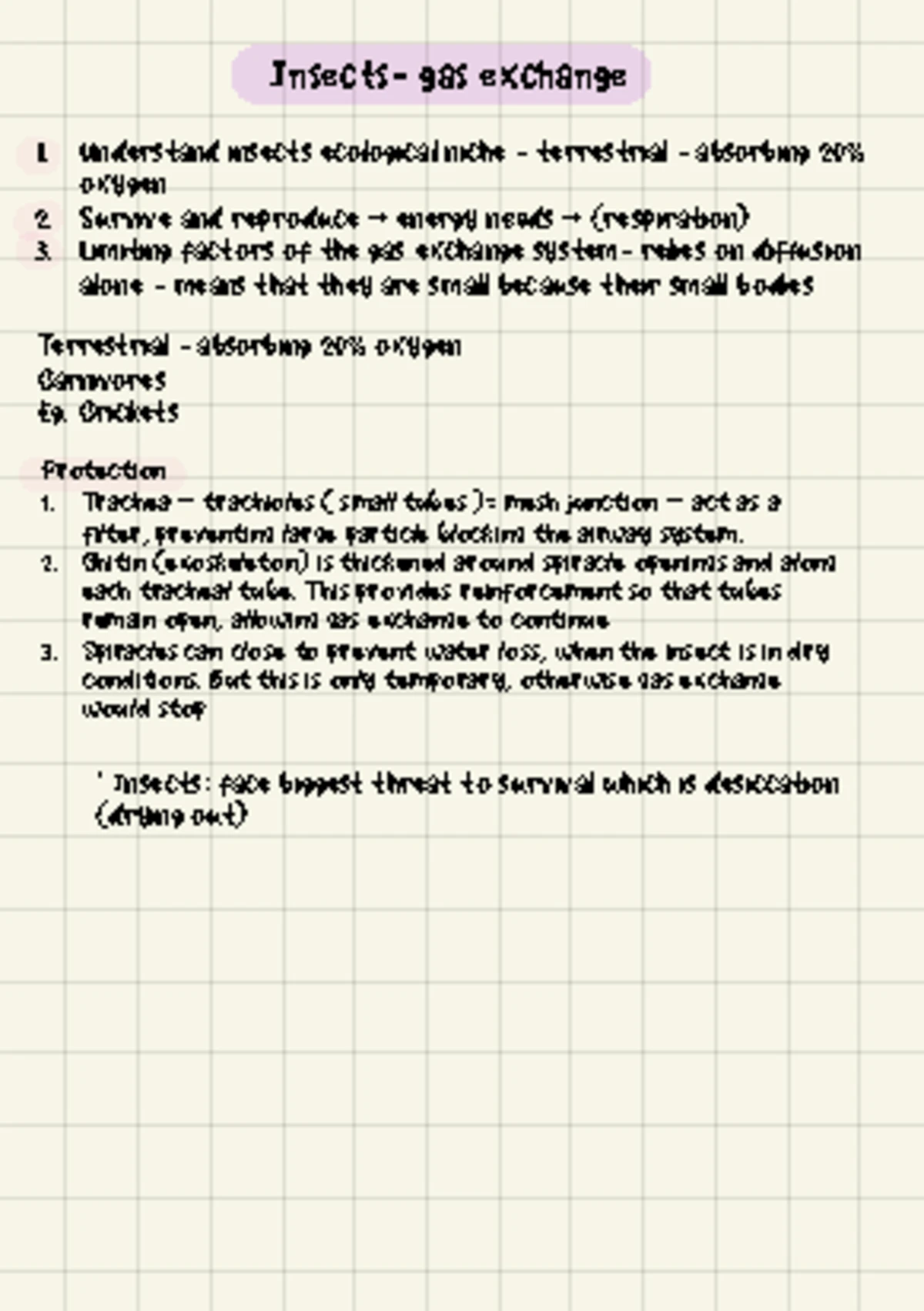Biology Level 2: Insect Gas Exchange Mechanisms Explained - Studocu