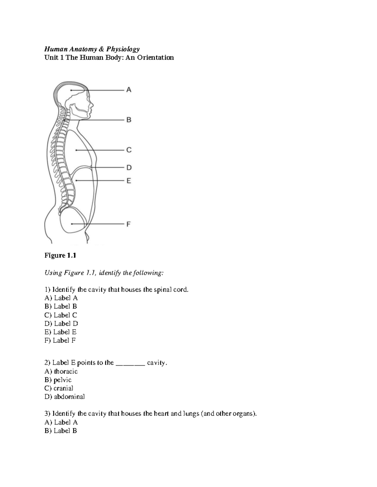 Human Anatomy & Physiology Unit 1 Test Review Guide - Studocu
