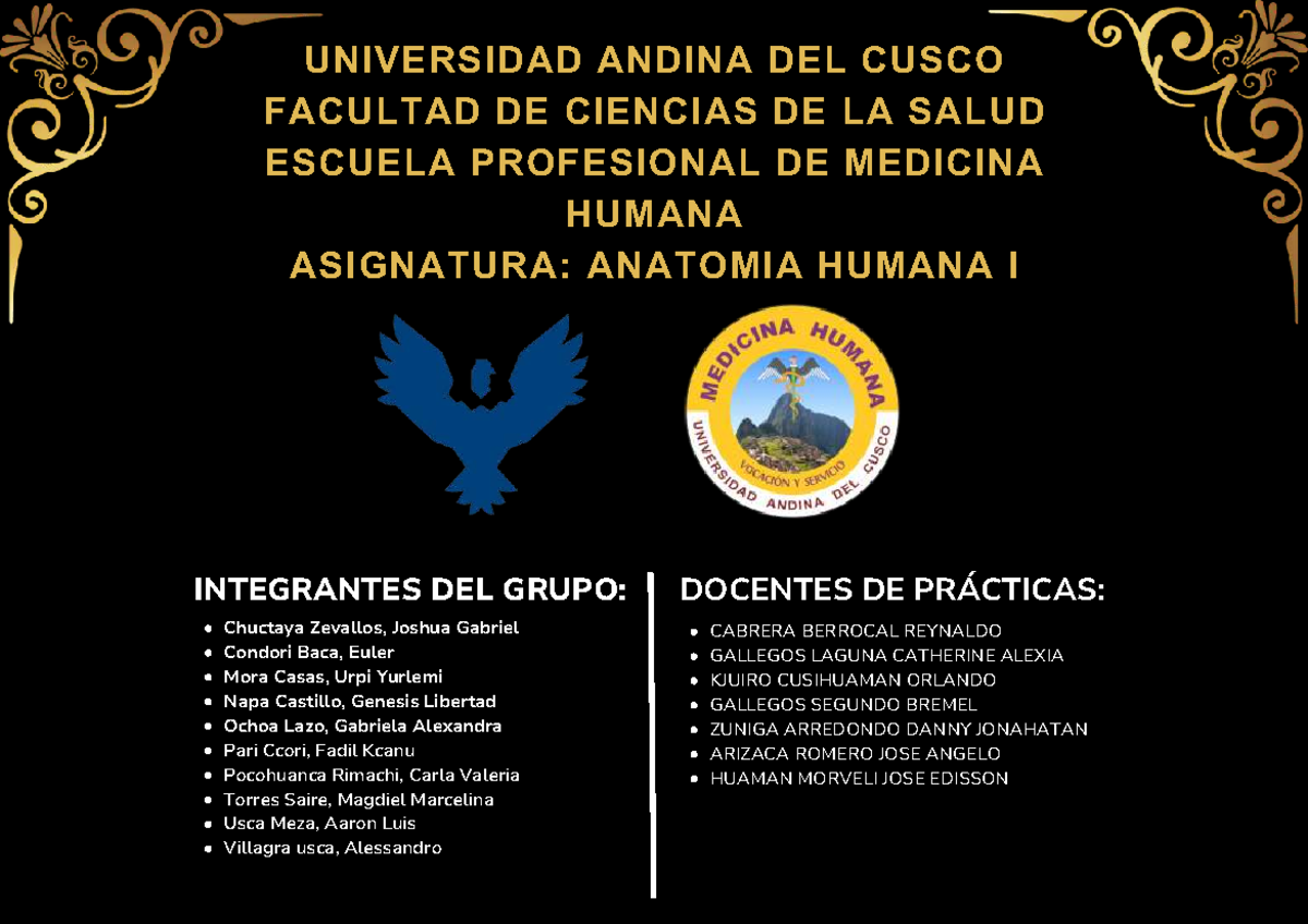 Anatomía Humana I - Atlas del Apéndice: Trabajo de Investigación - Studocu