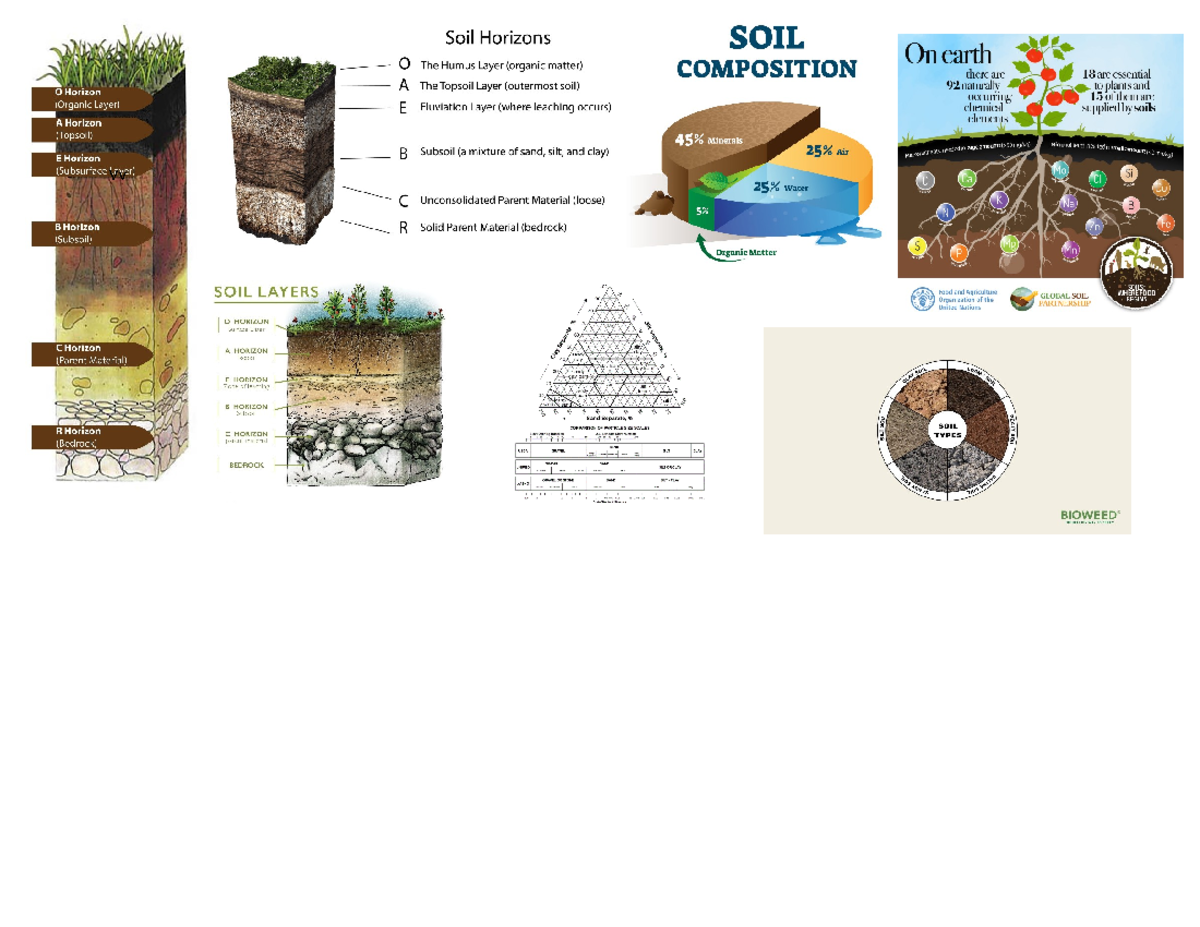 soil chemistry - Vv Soil Chemistry: A Foundation for Agricultural and ...