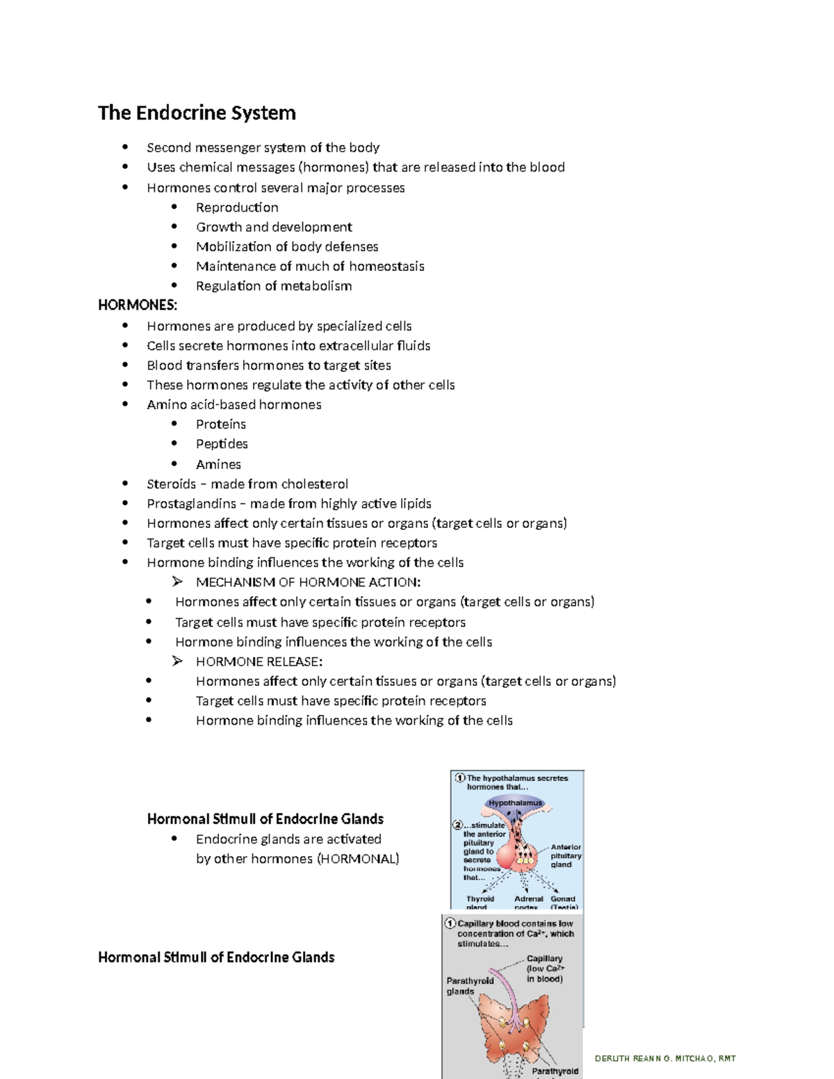 The Endocrine System notes DRGM - The Endocrine System Second messenger ...