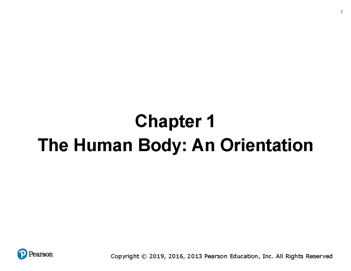 Anatomy & Physiology 101: Chapter 1 - The Human Body Orientation - Studocu