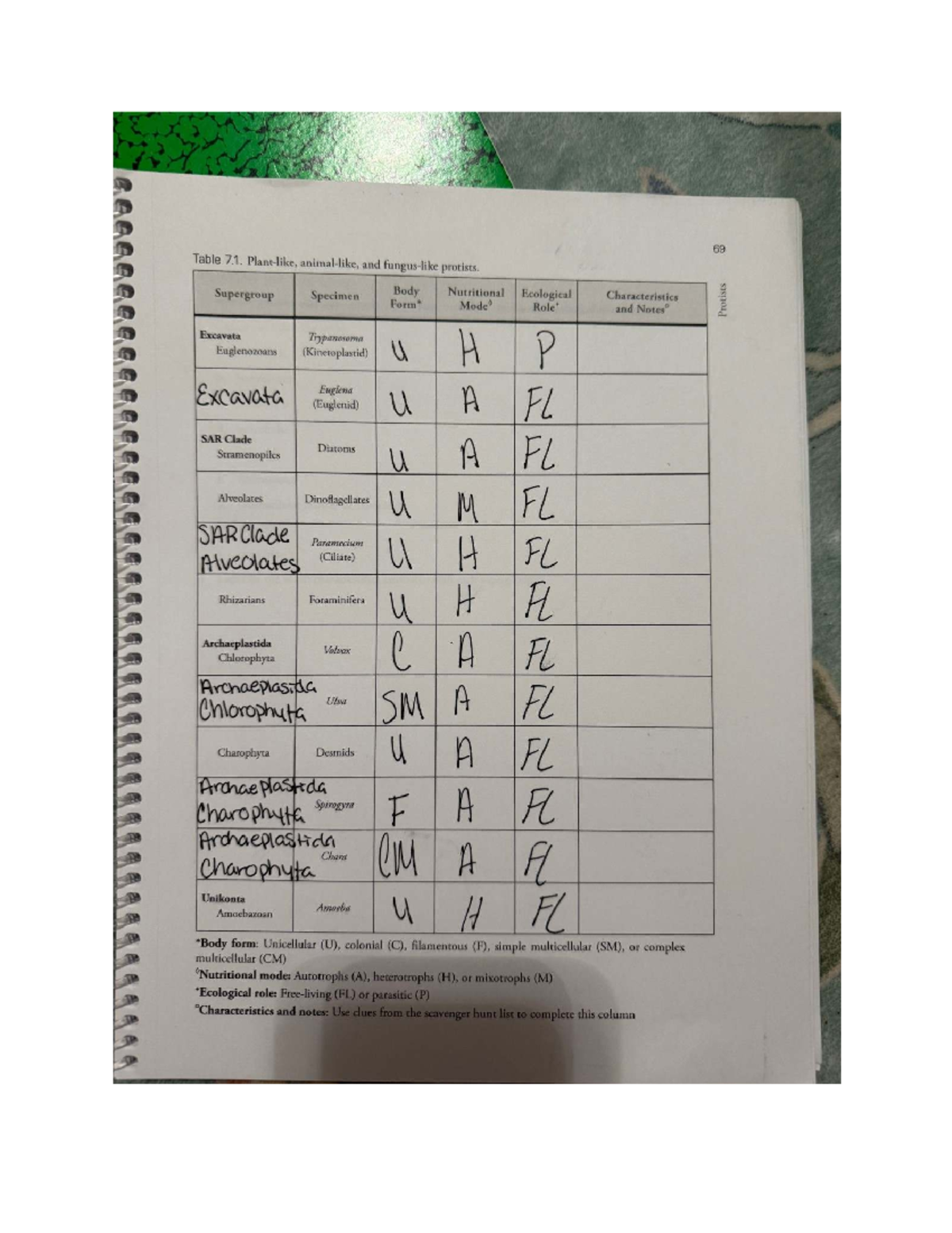 Final Exam Study Guide for Course XYZ 101: Protists Overview - Studocu