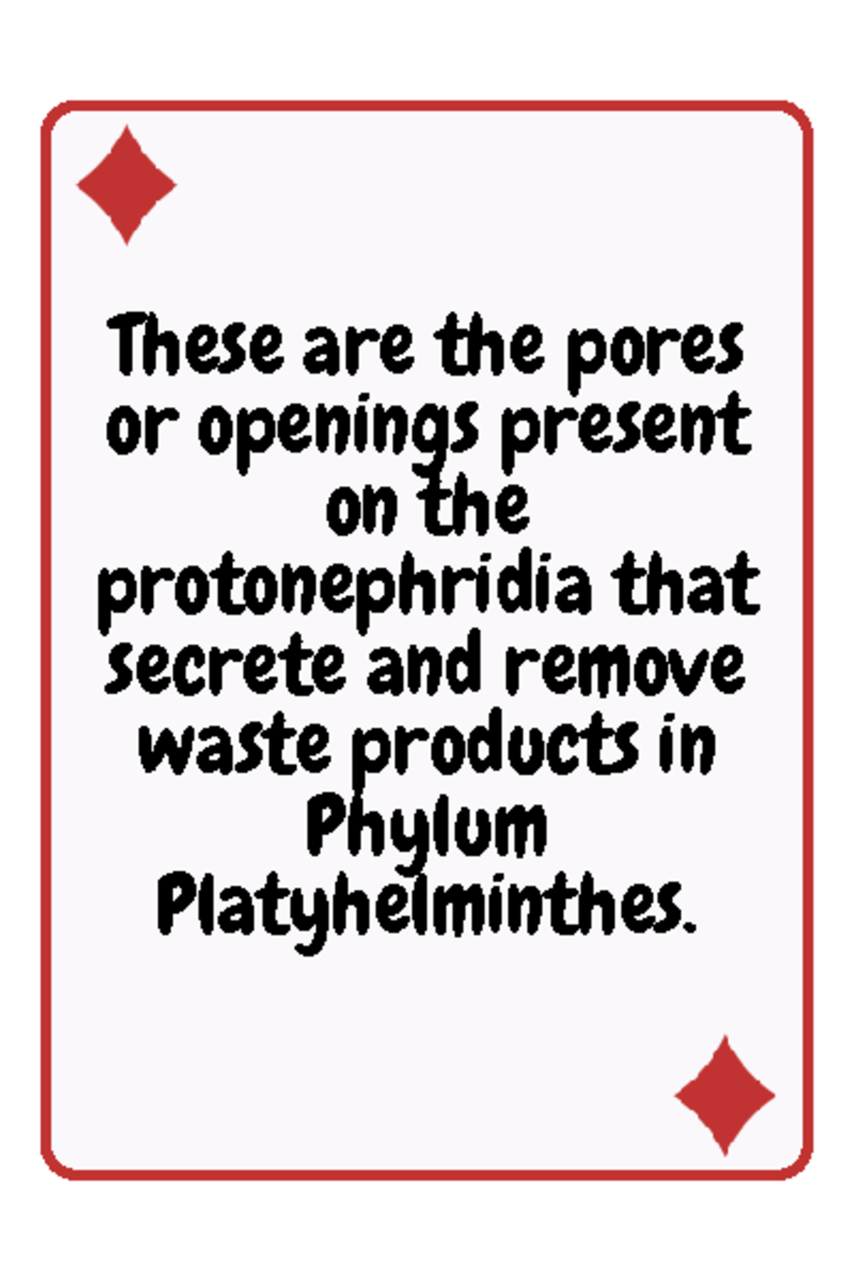 Flashcards on Nephridiopores & Tapeworms in Platyhelminthes (BSMT 2A ...