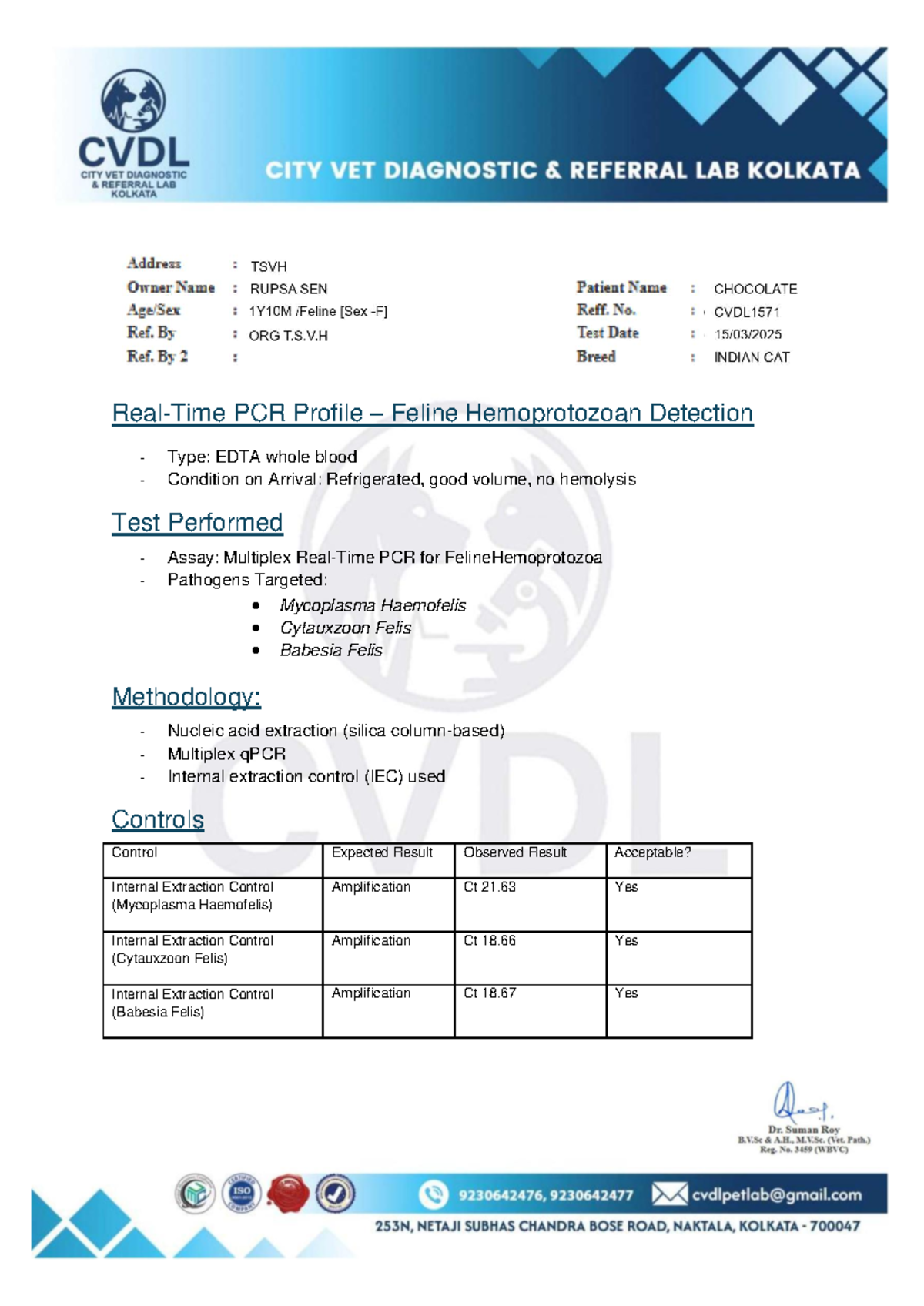 PCR Profile for Feline Hemoprotozoan Detection: EDTA Blood Analysis ...