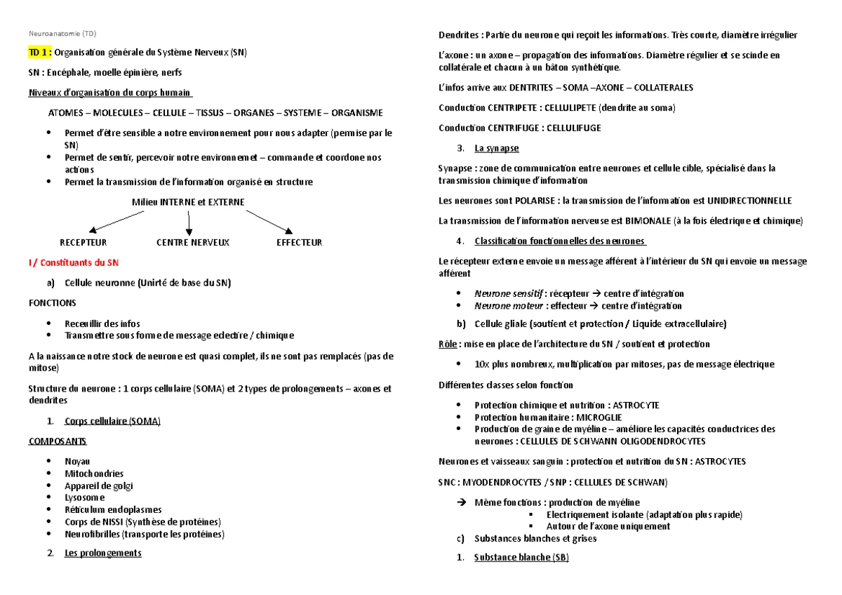 TD 3 - fiche de révision - Neuroanatomie (TD) – fiche de révision TD 3 : La moelle épinière Tous ...