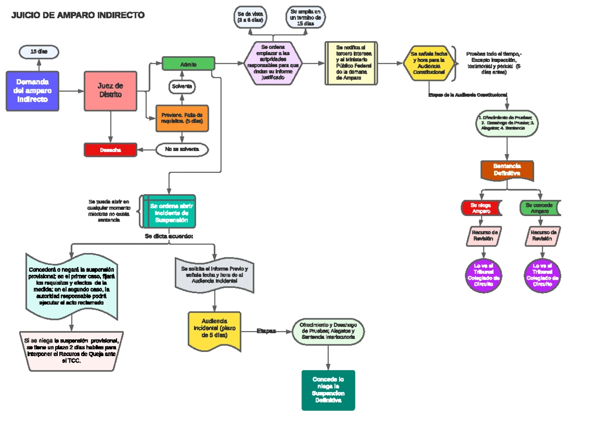 4.6 Amparo - Informe Previo y Procedimientos Jurídicos - Studocu