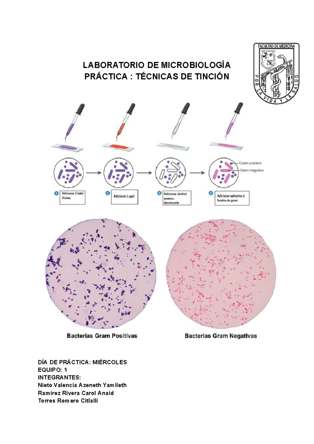 Técnicas de Tinción en Microbiología: Guía Práctica y Metodología - Studocu
