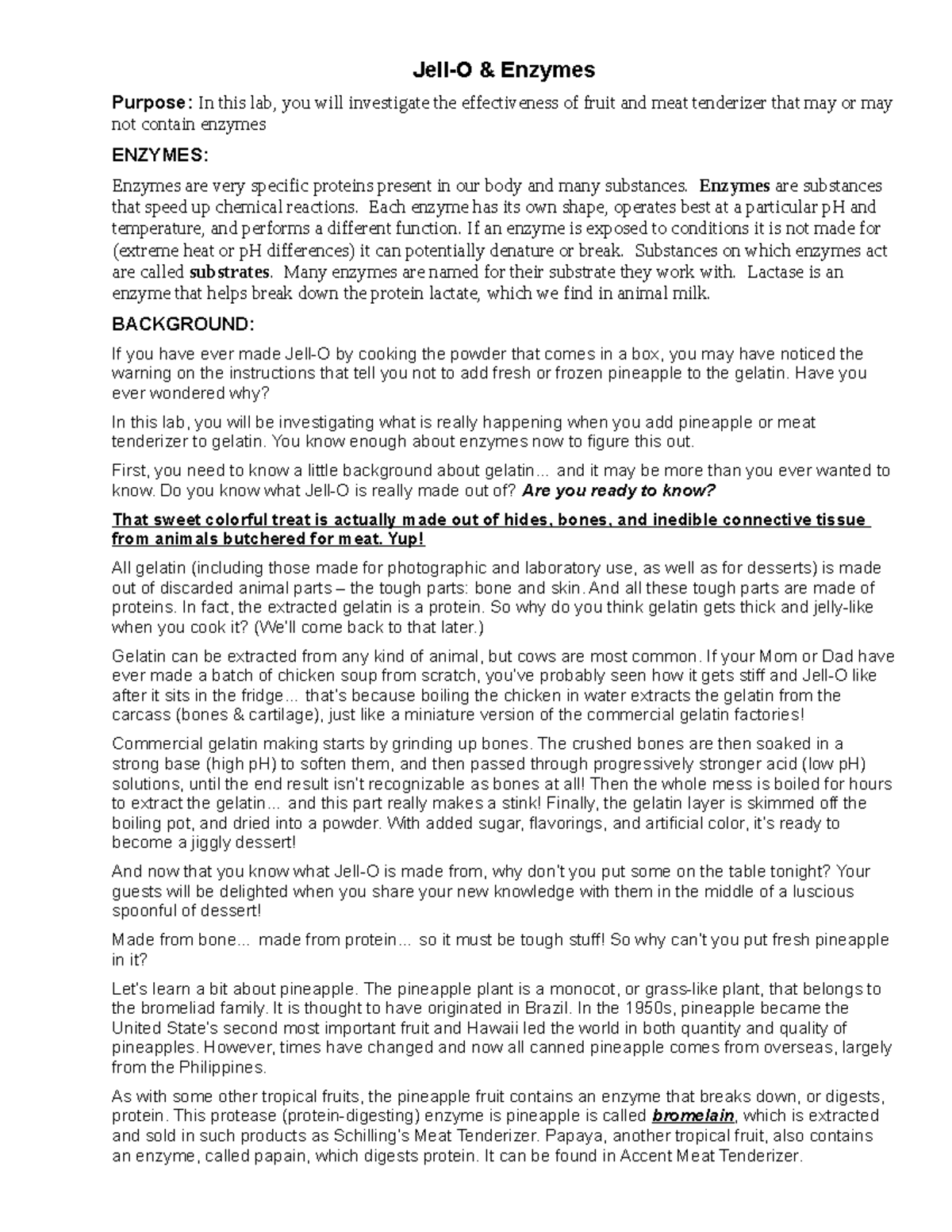 Jell-O & Enzymes Lab: Exploring Protein Breakdown with Lab 101 - Studocu