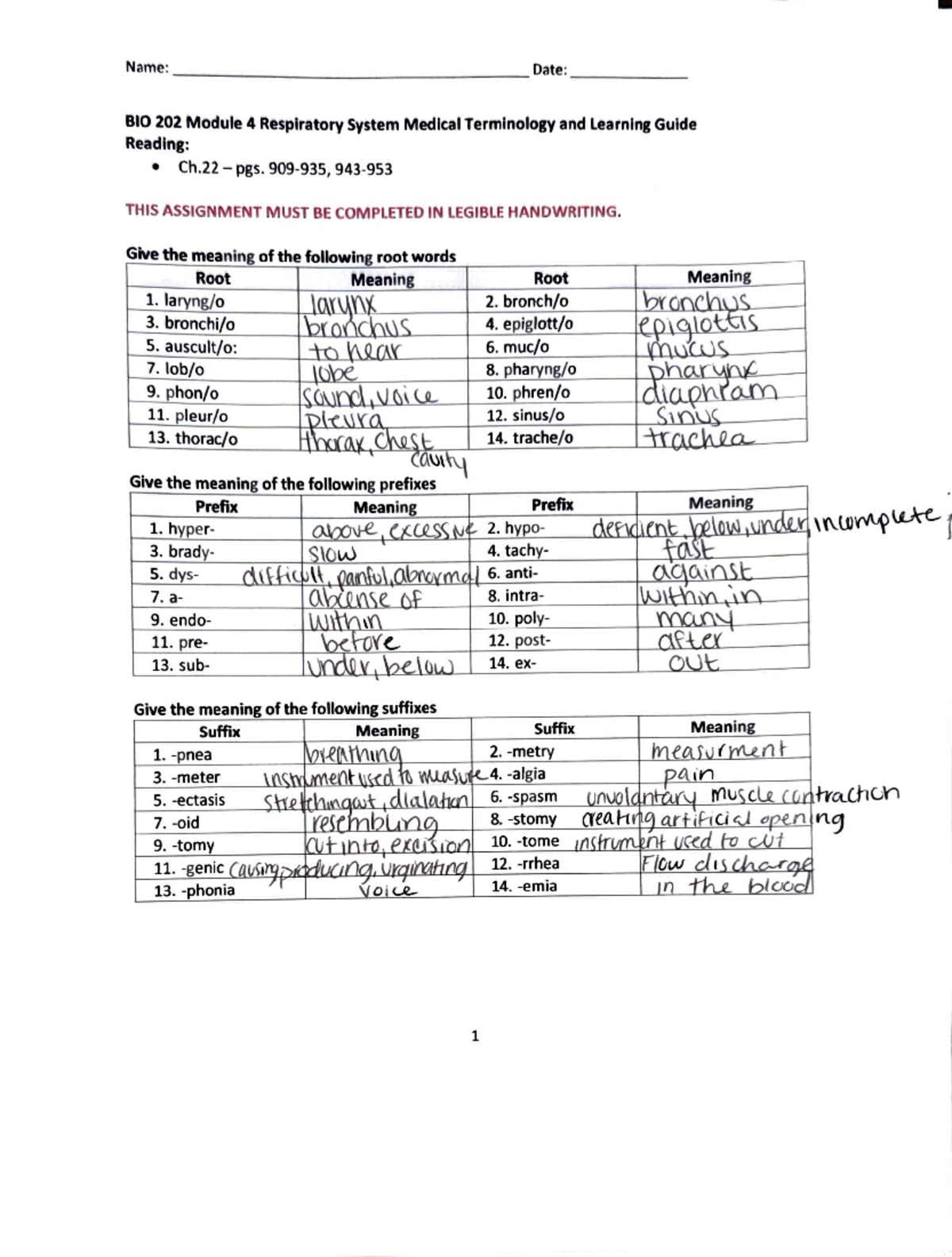 BIO 202 Module 4 Respiratory System Medical Terminology Study Guide ...