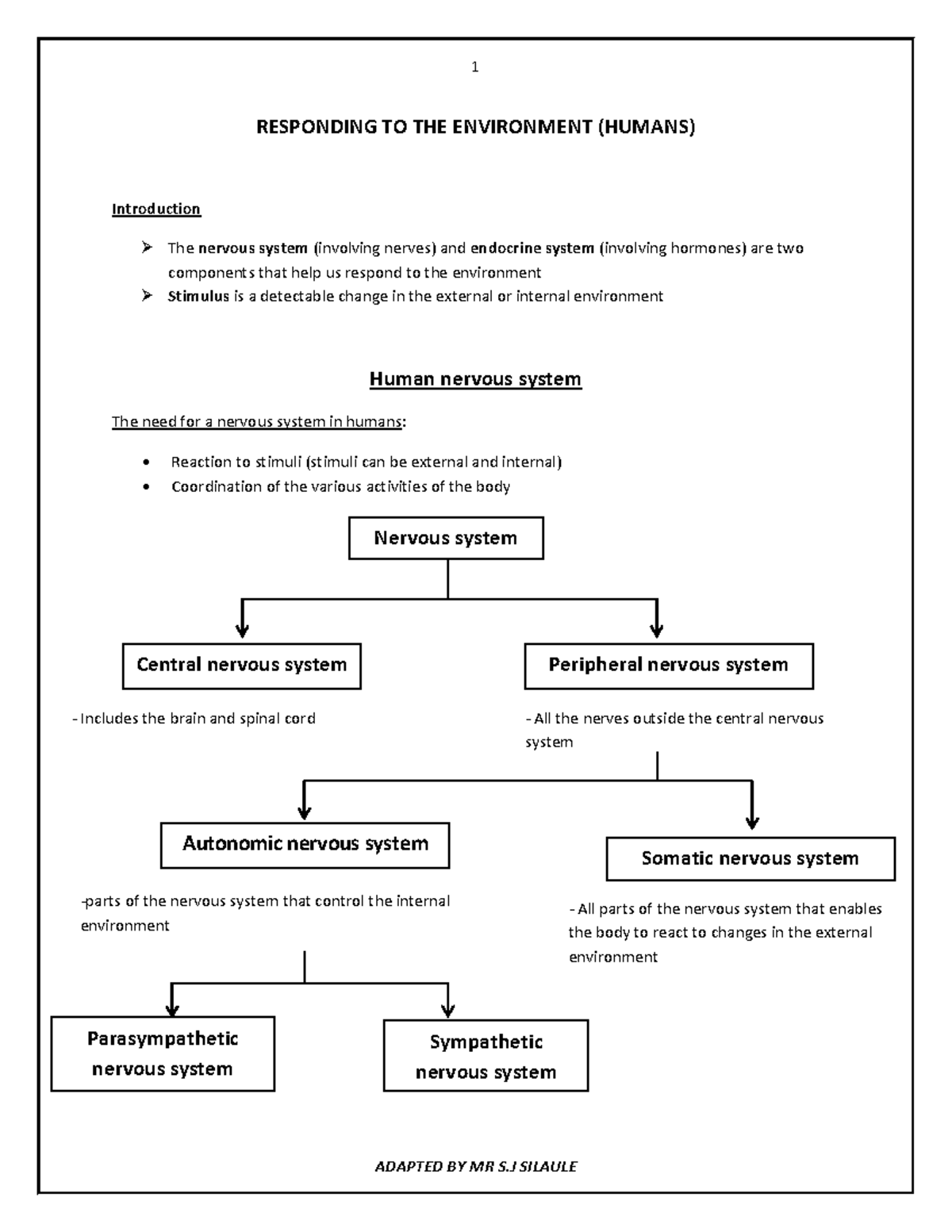 HUMAN NERVOUS SYSTEM AND SENSORY ORGANS (BIO 101) - Studocu