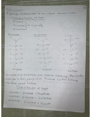 [Solved] The strand of DNA in the figure above that will be copied ...