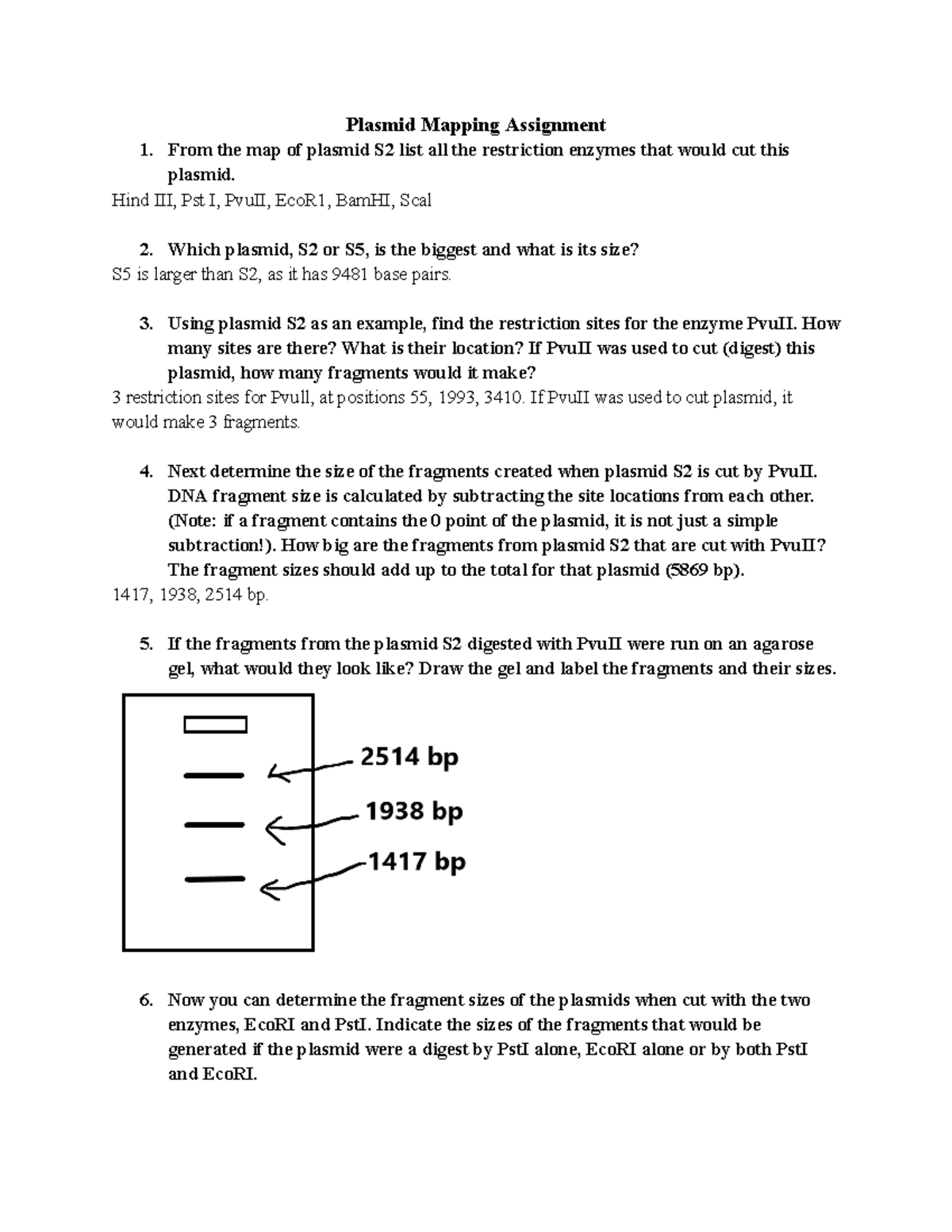 Plasmid Mapping Assignment Analysis and Results (Bio 101) - Studocu