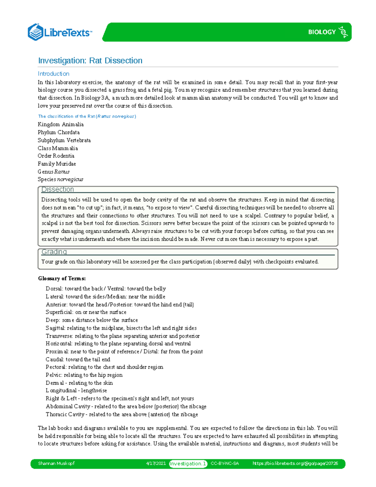 Investigation Rat Dissection - Investigation: Rat Dissection ...