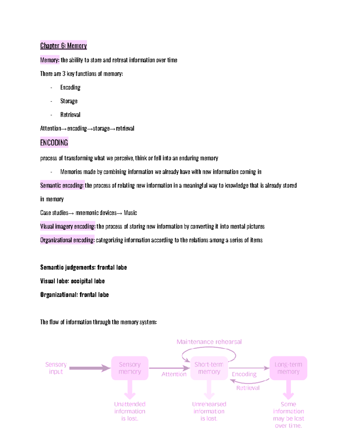 Psychology Exam Notes: Theories of Emotion, Memory & Learning - Chapter ...