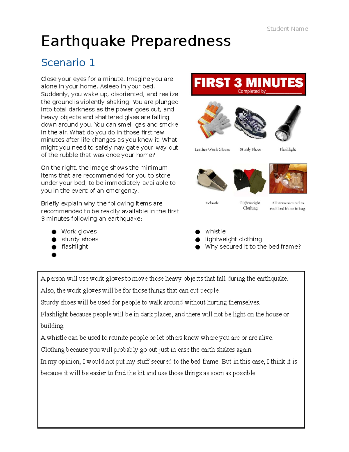 Earthquake Preparedness Worksheet DG: Essential Safety Items Guide ...