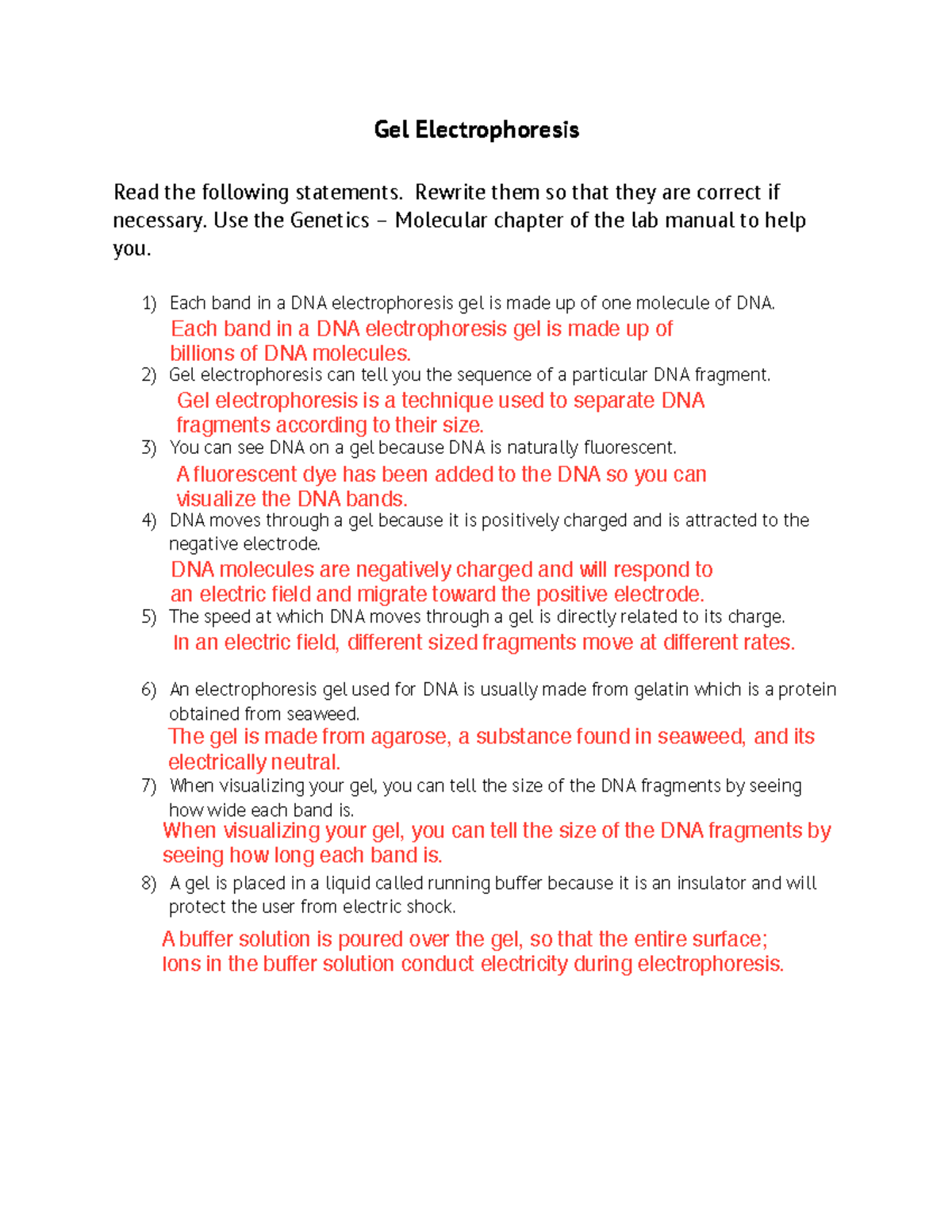 Gel Electrophoresis Worksheet - Gel Electrophoresis Read the following ...