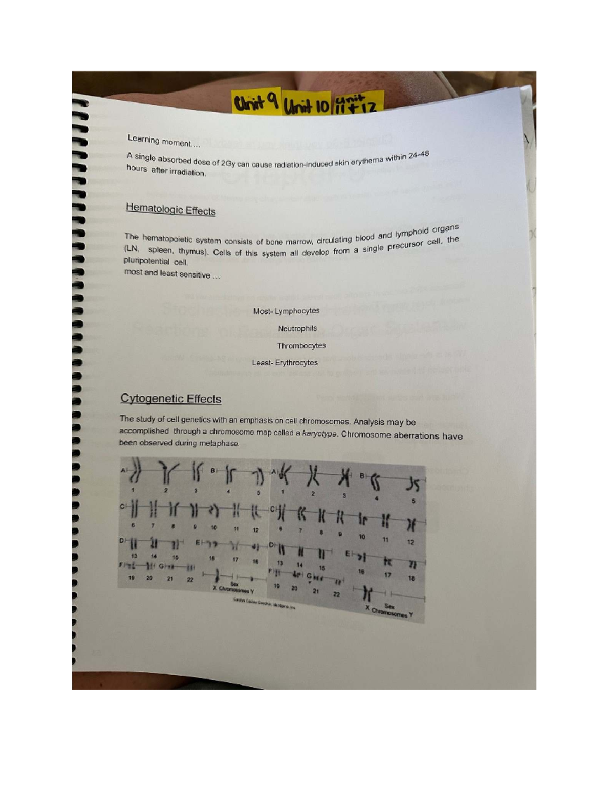 Comprehensive Study Notes for Course XYZ - Radiation Effects & Risk ...