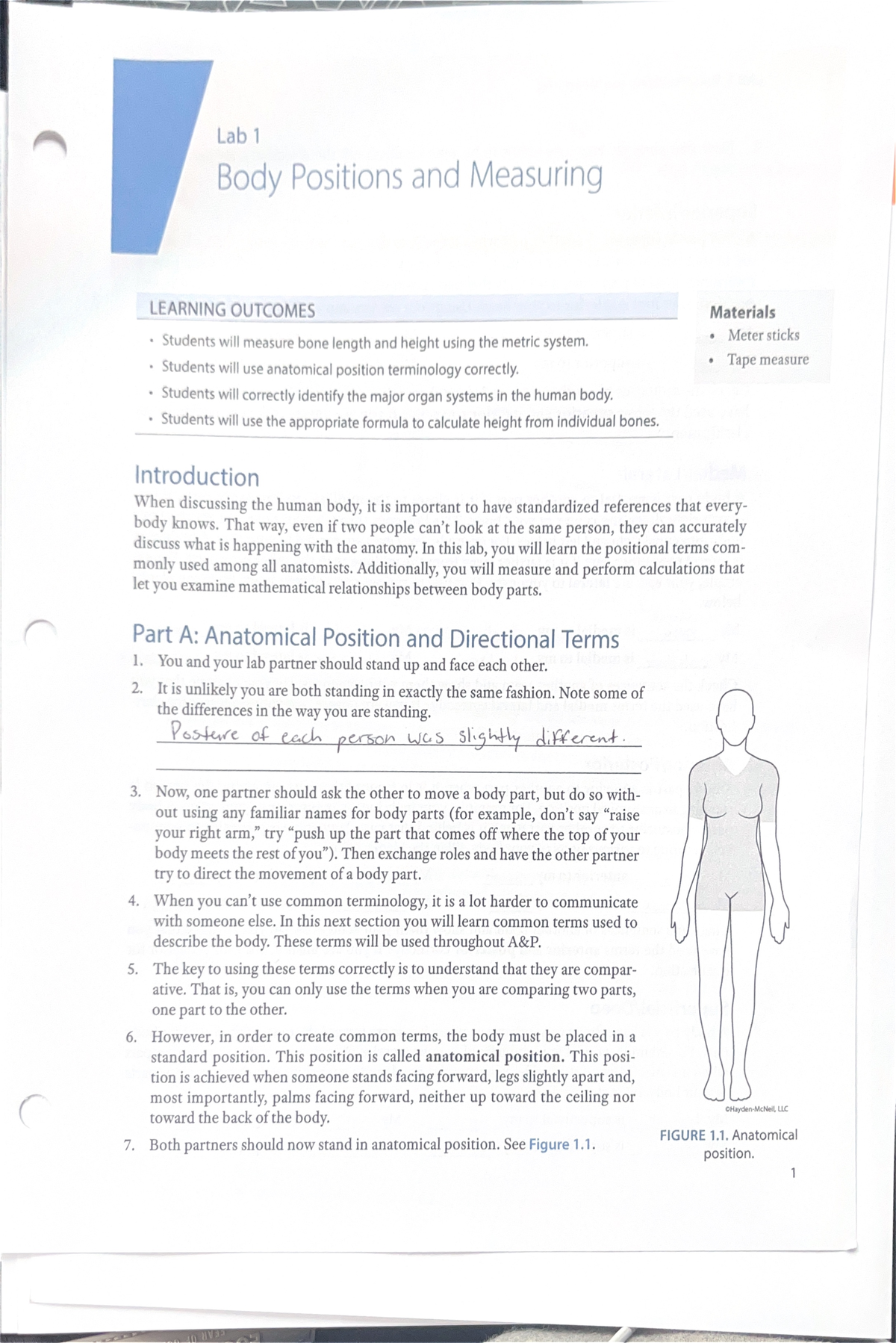 Lab 1: Anatomical Position and Measurements in Anatomy & Physiology ...