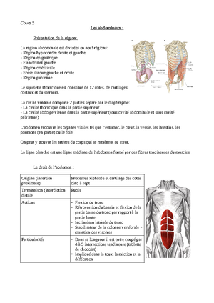 Attestations de justification de niveau parcousup staps 2023 ...