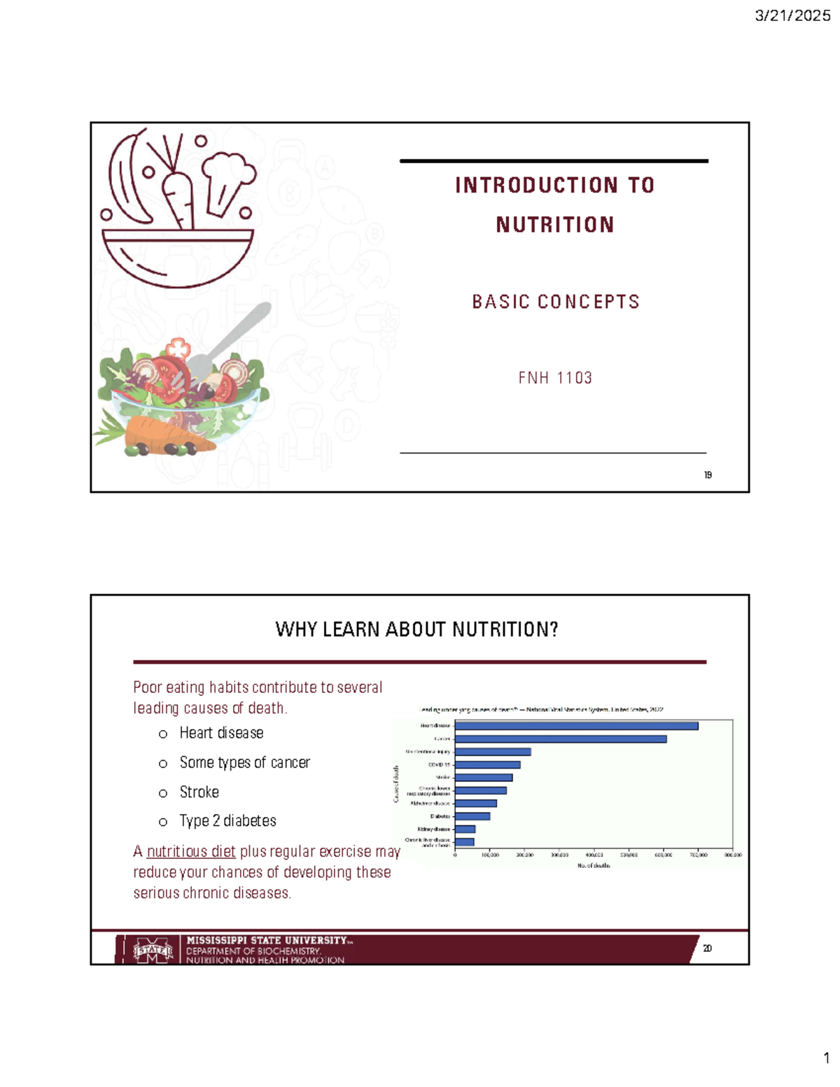 Nutrition Fundamentals and Key Nutrients Overview - FNH 1103 - Studocu