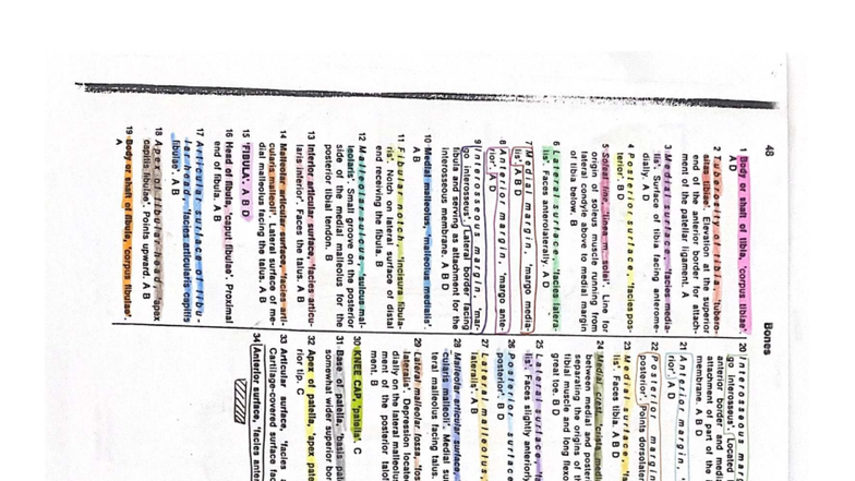 **Title: Anatomy of Bones: Latin Terminology and Descriptions (Course ...