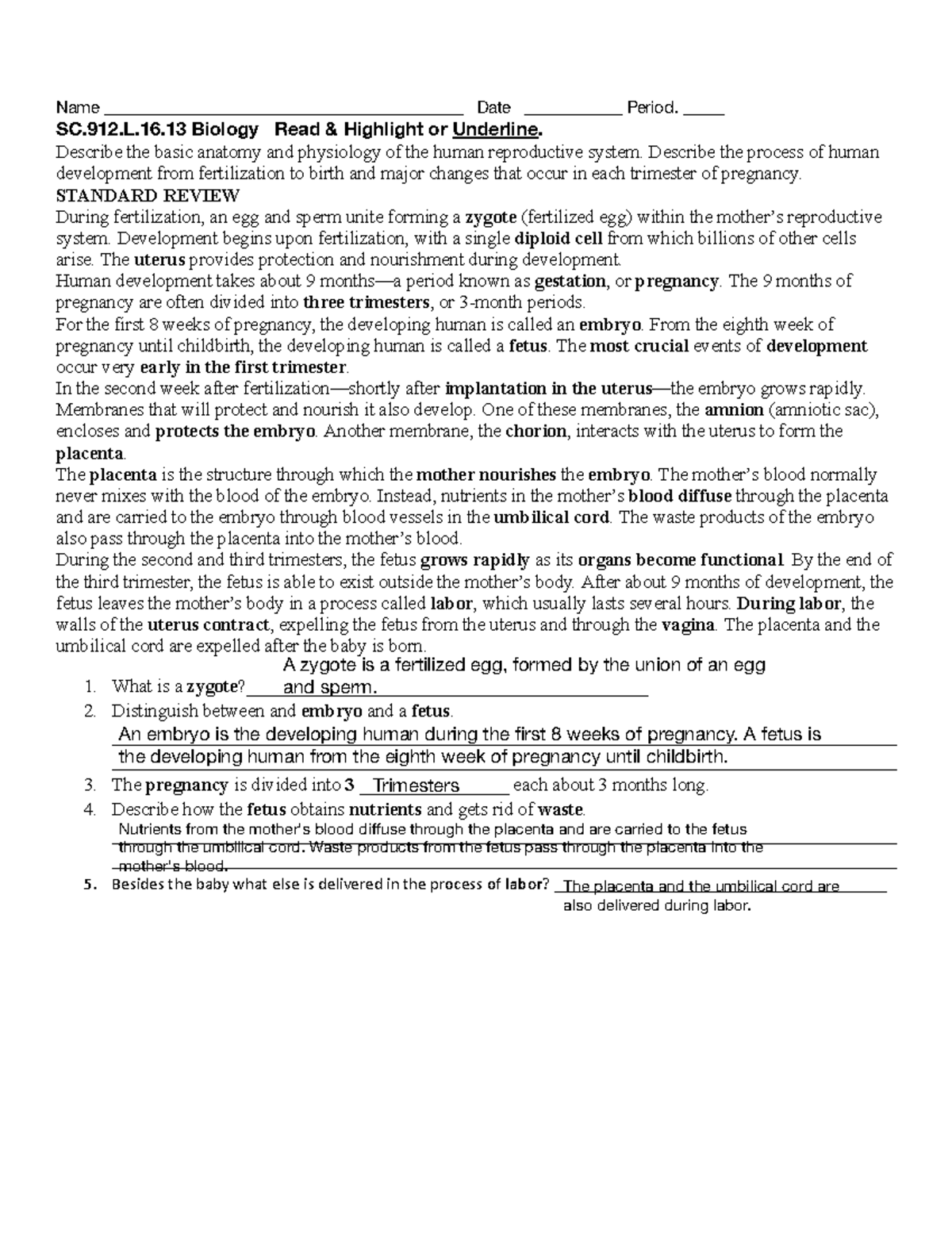 Reproductive System Classwork: SC.912.L.16.13 Anatomy & Development ...