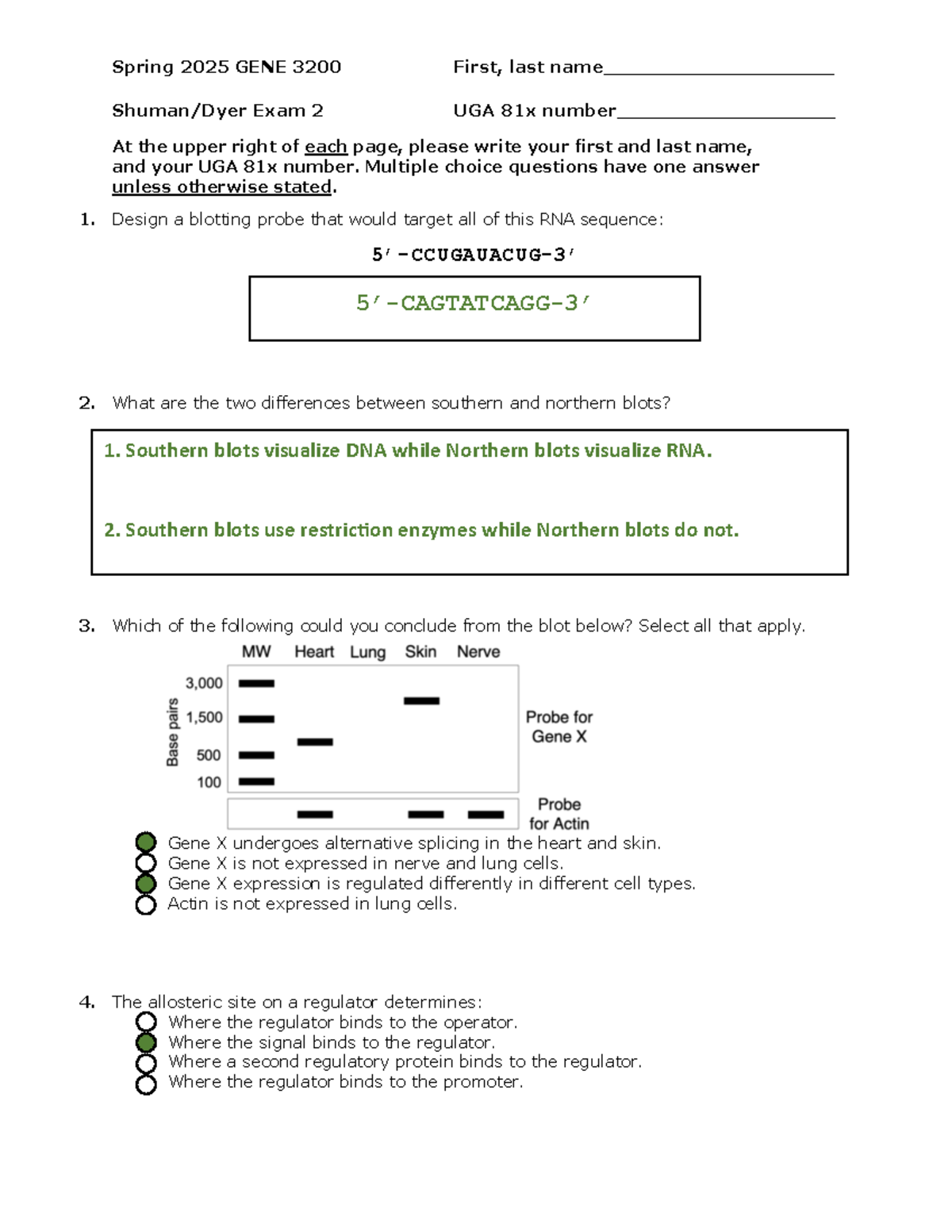 Exam 2 KEY - Exam 2 Key Spring 2024 - Shuman/Dyer Exam 2 UGA 81x number__________________ At the ...
