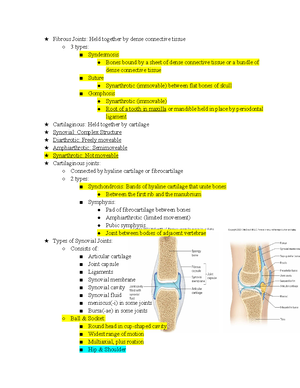 Unit 4 - Medical term - Unit 4: Medical Terminology Endocrine System Within the textbox below ...
