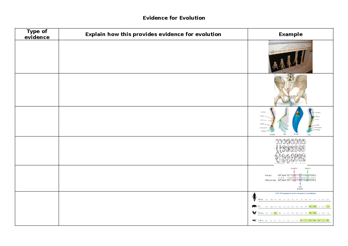 Evidence for Evolution (Biology 101) Practice with Answers - Studocu