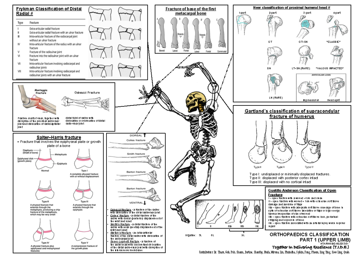 Ortho Notes: Comprehensive Classification of Fractures and Treatments ...