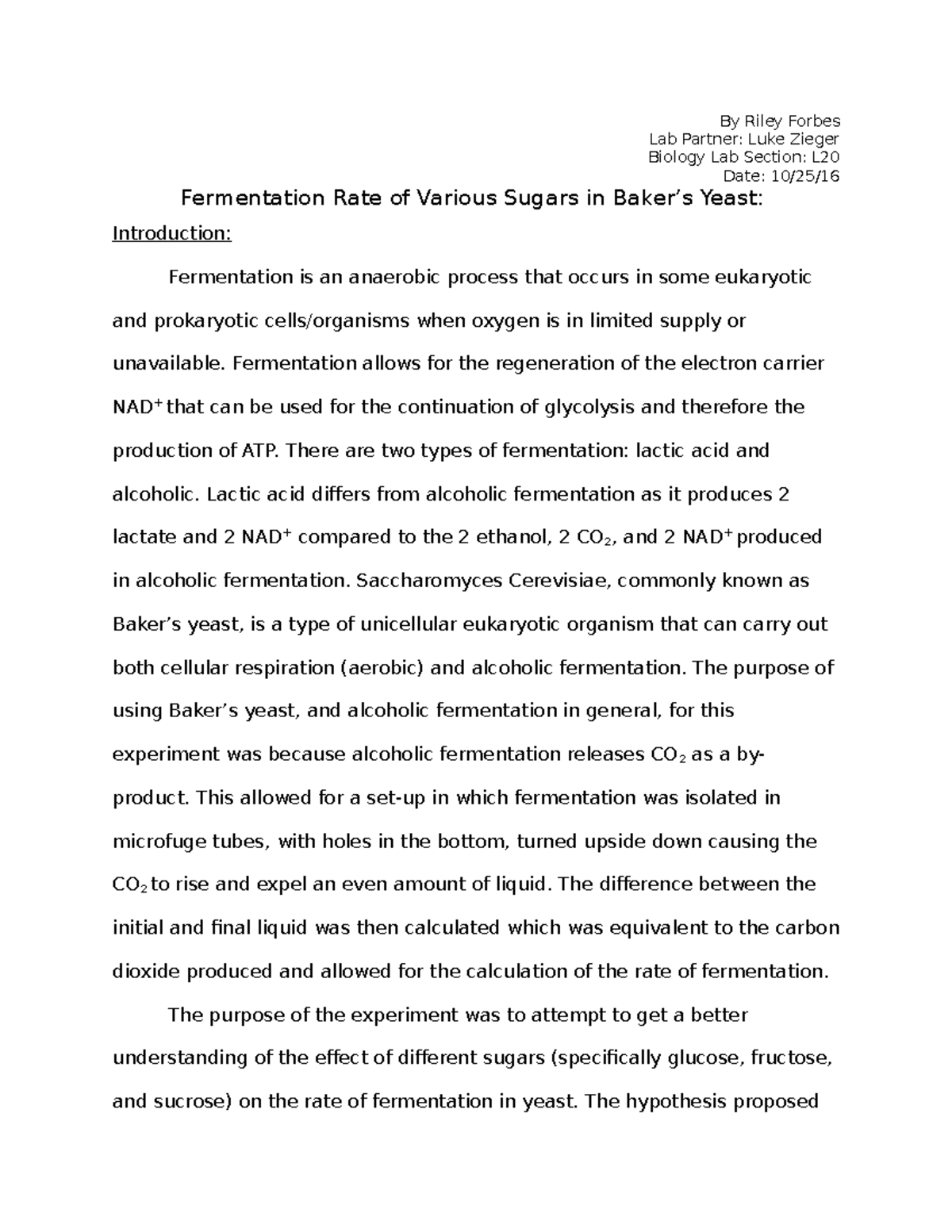 Biology L20: Fermentation Lab Report on Yeast and Sugar Effects - Studocu
