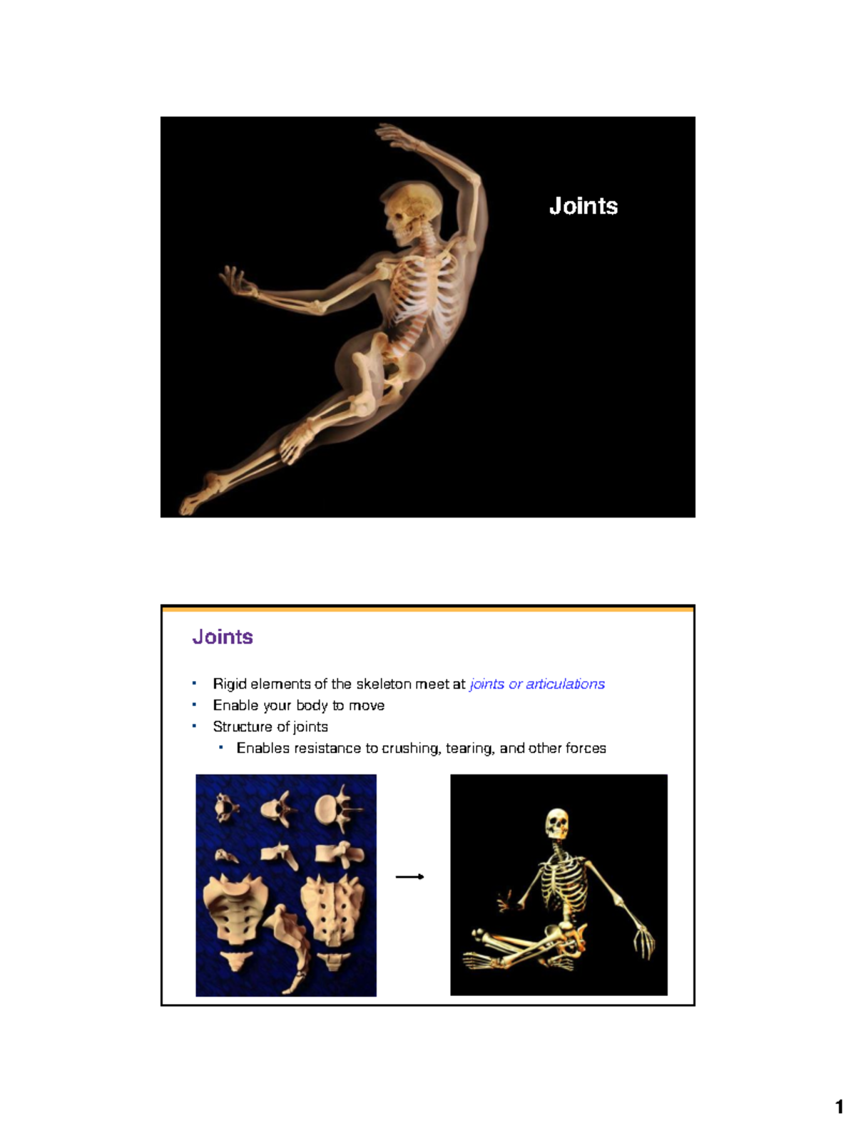 Joints and Movements: Understanding Synovial Structures (BIO 101) - Studocu