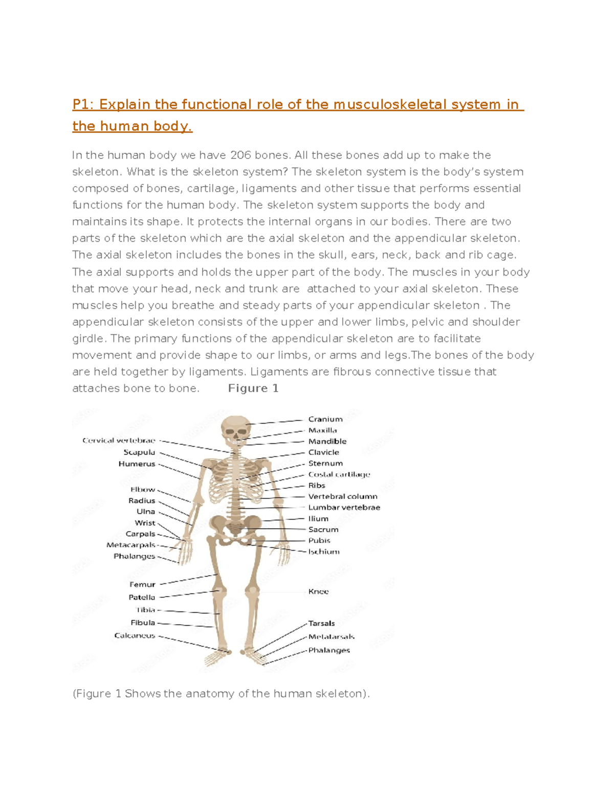 Unit 8A: Detailed Overview of Musculoskeletal Disorders and Treatments ...